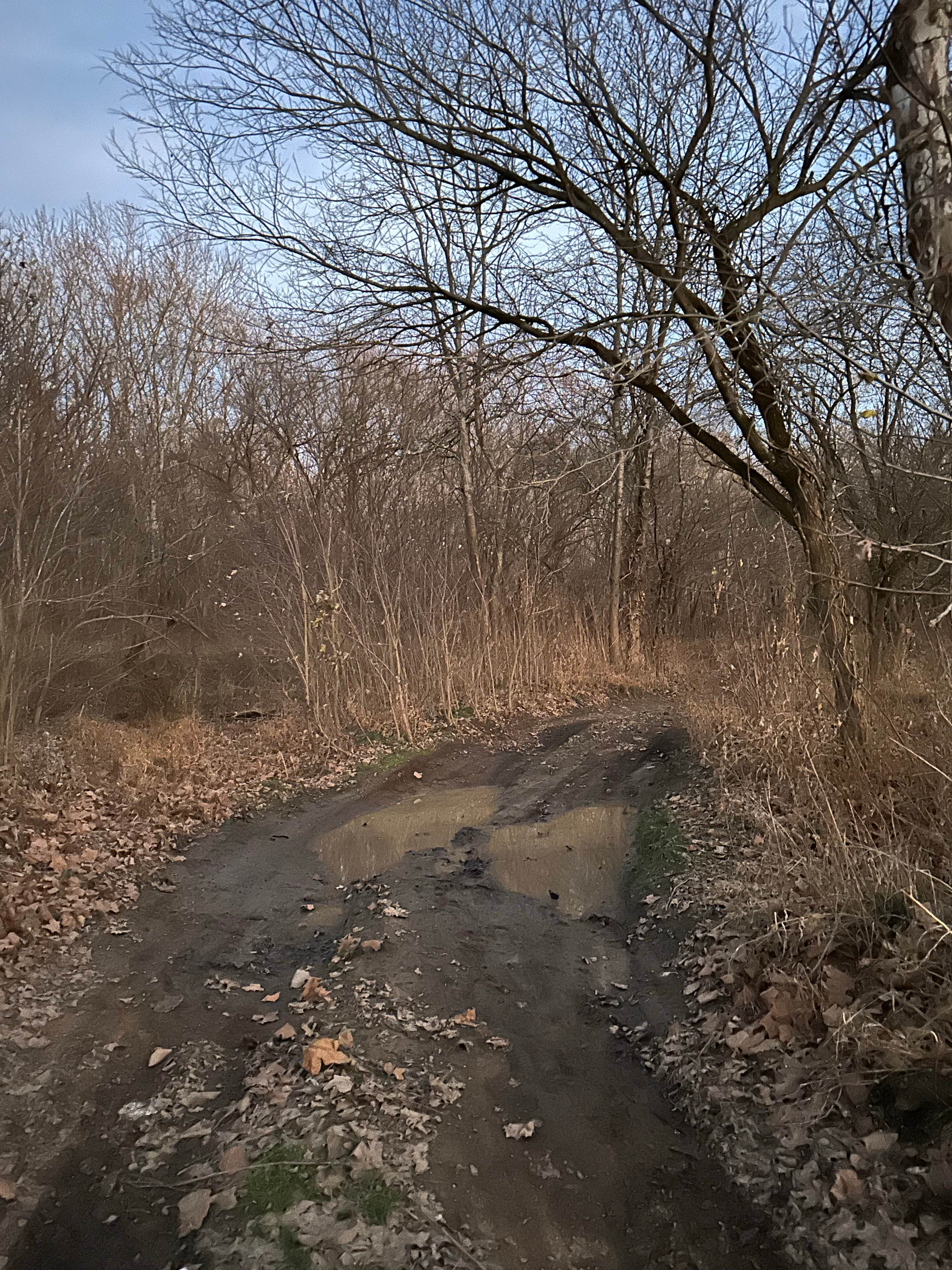34 Bridge Recreation Area Camping | Patterson, MO
