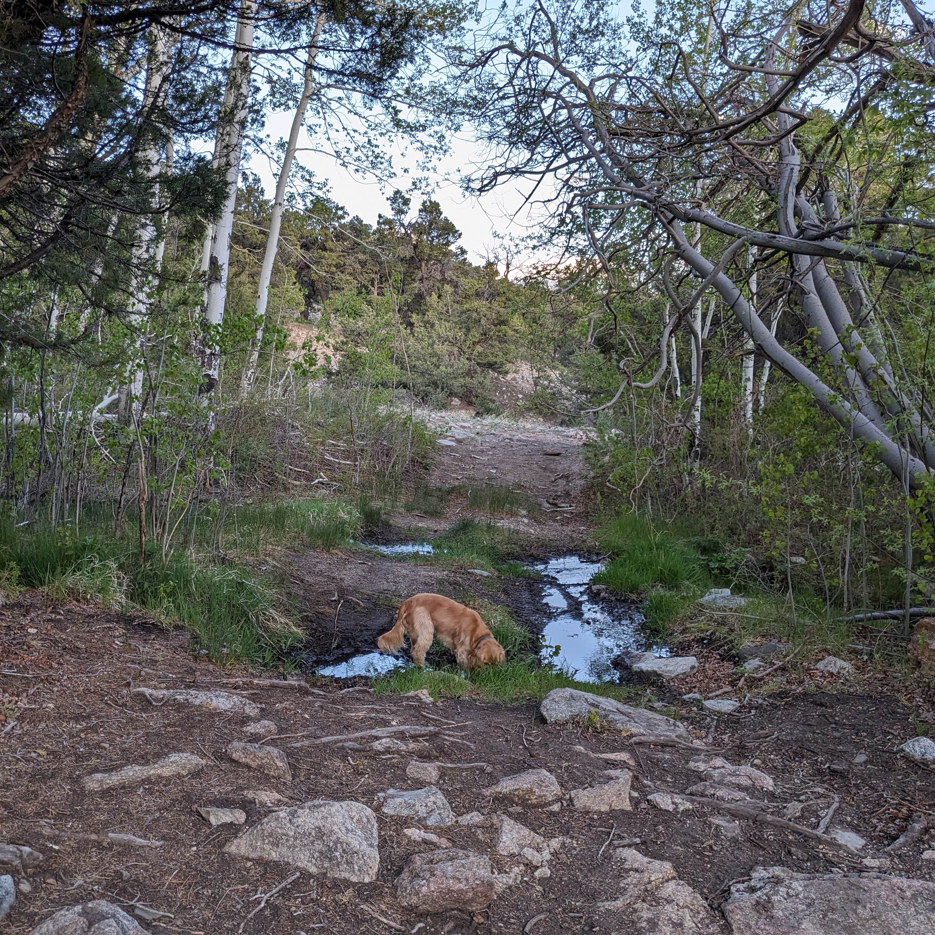 5-Acre Blanca Peak View Camping | Blanca, Colorado