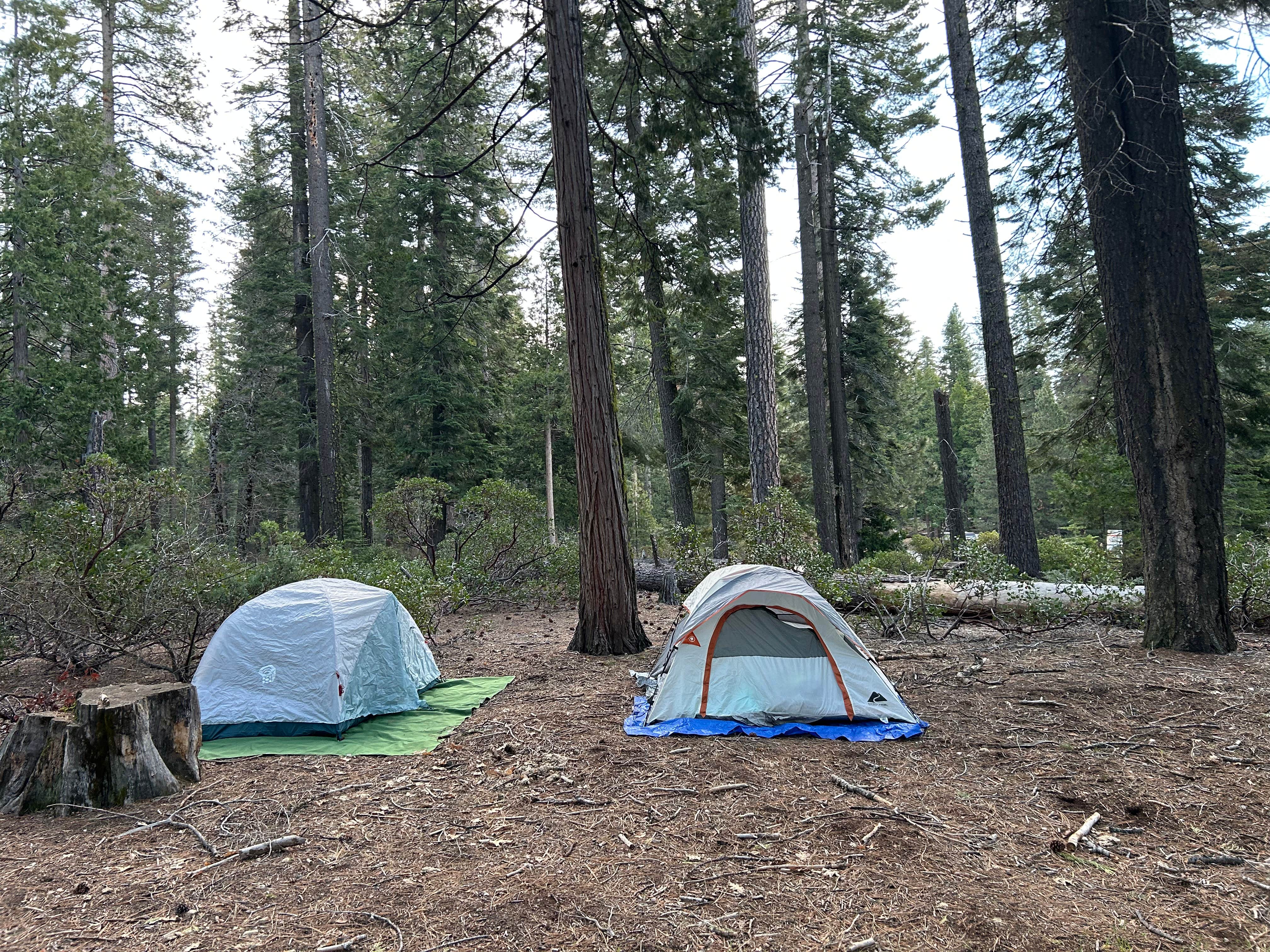 THE 10+ BEST Campgrounds near Yosemite National Park