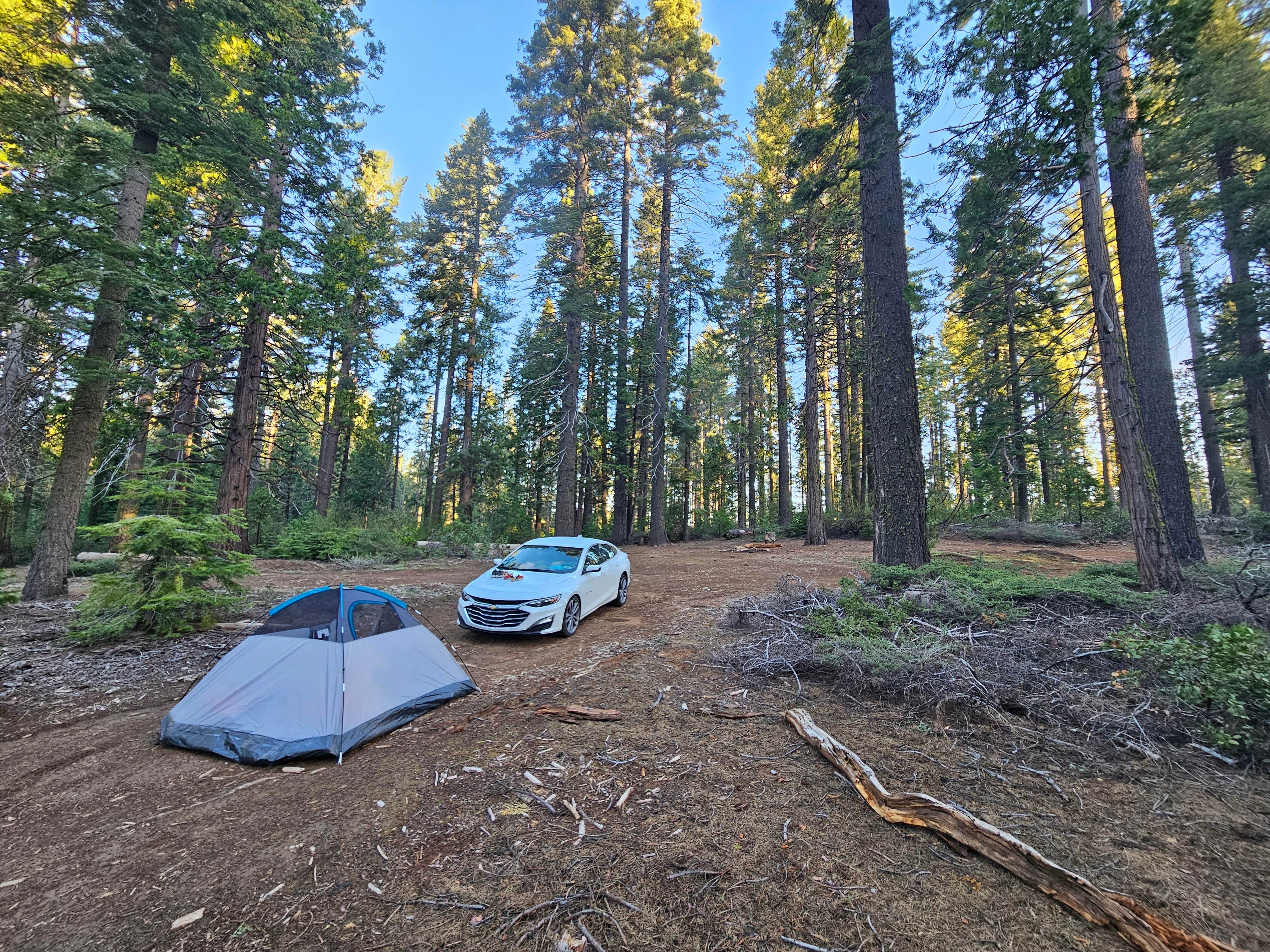 Dispersed Camping near Yosemite National Park, CA: 50+ Best Places to Camp