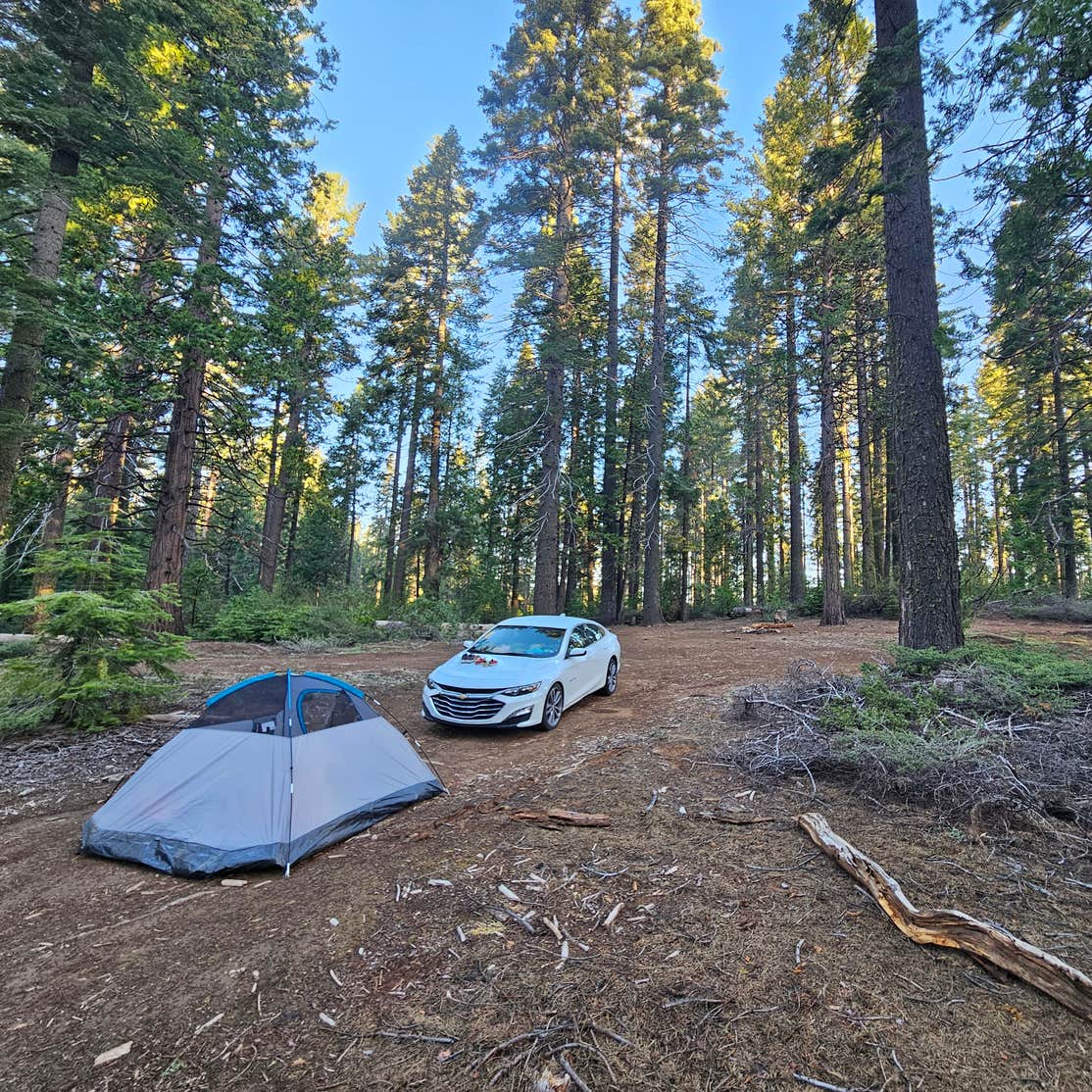 Goat Meadow - Dispersed Camp Site | Fish Camp, California