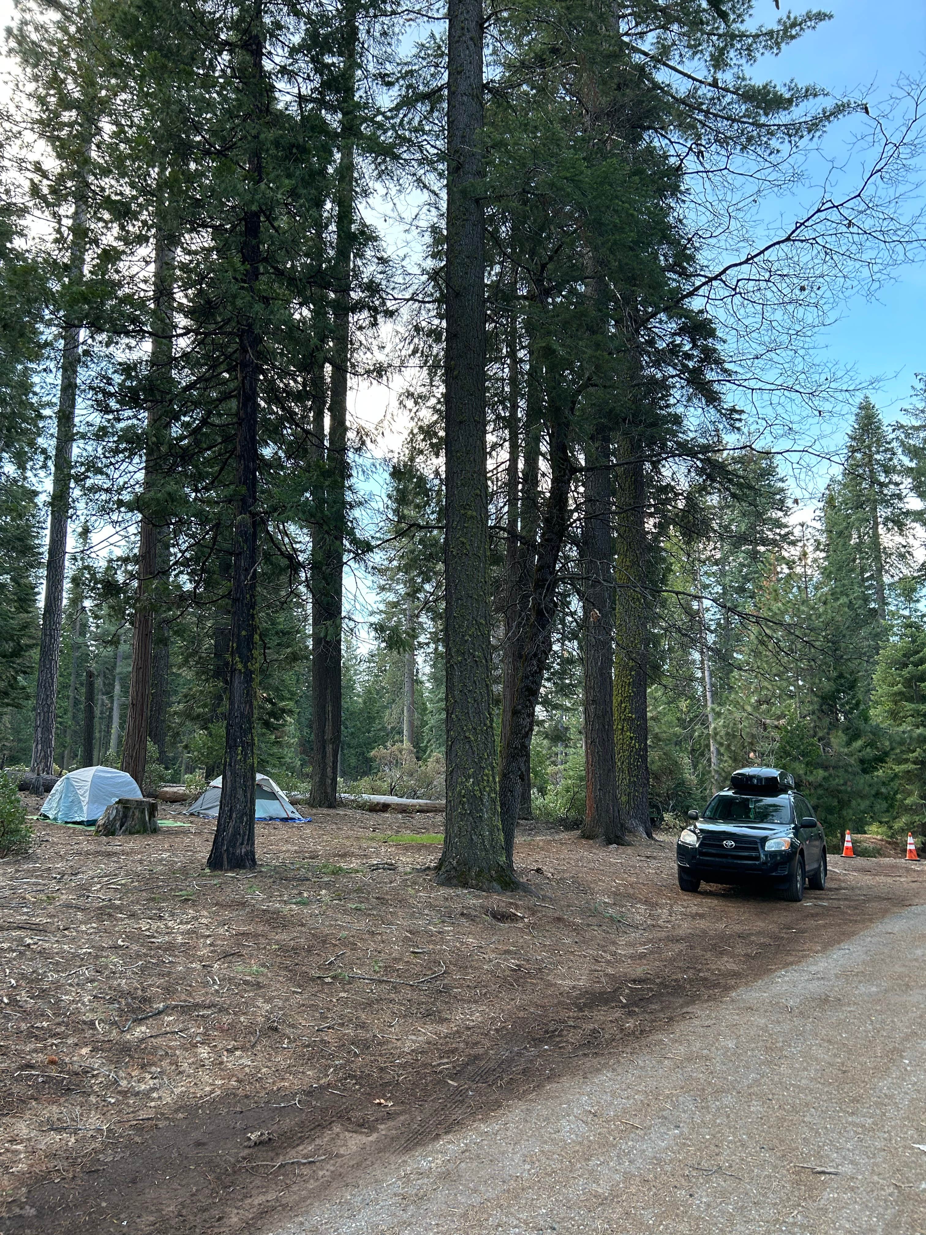 THE 10+ BEST Campgrounds near Yosemite National Park
