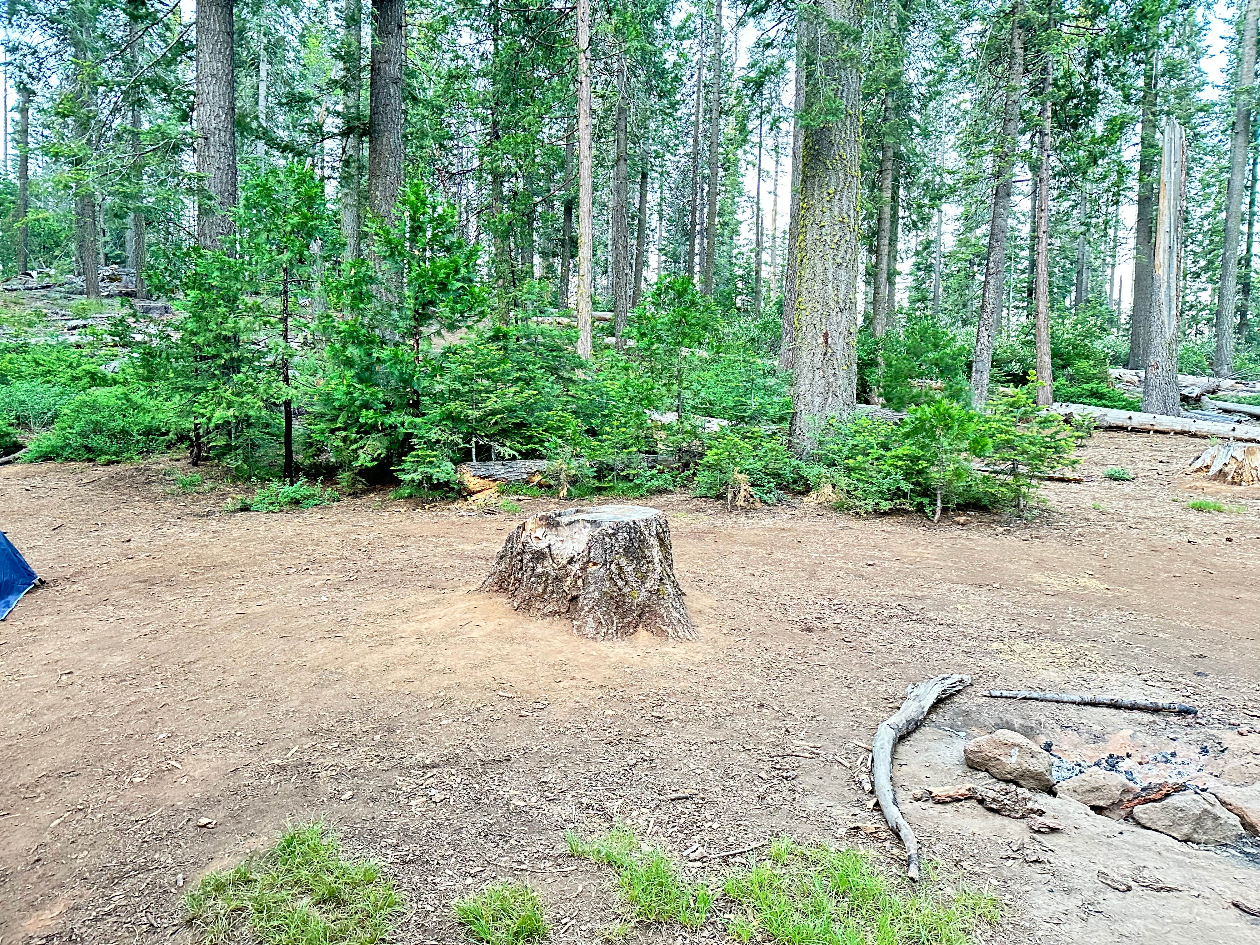 THE 10+ BEST Free Campsites near YOSEMITE NATIONAL PARK, CA