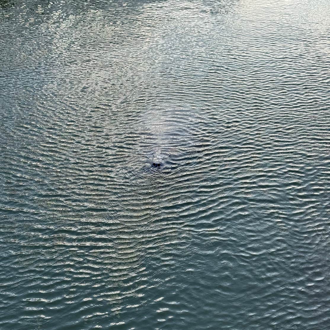 Aerojet Canal Boat Landing Camping | Florida City, Florida