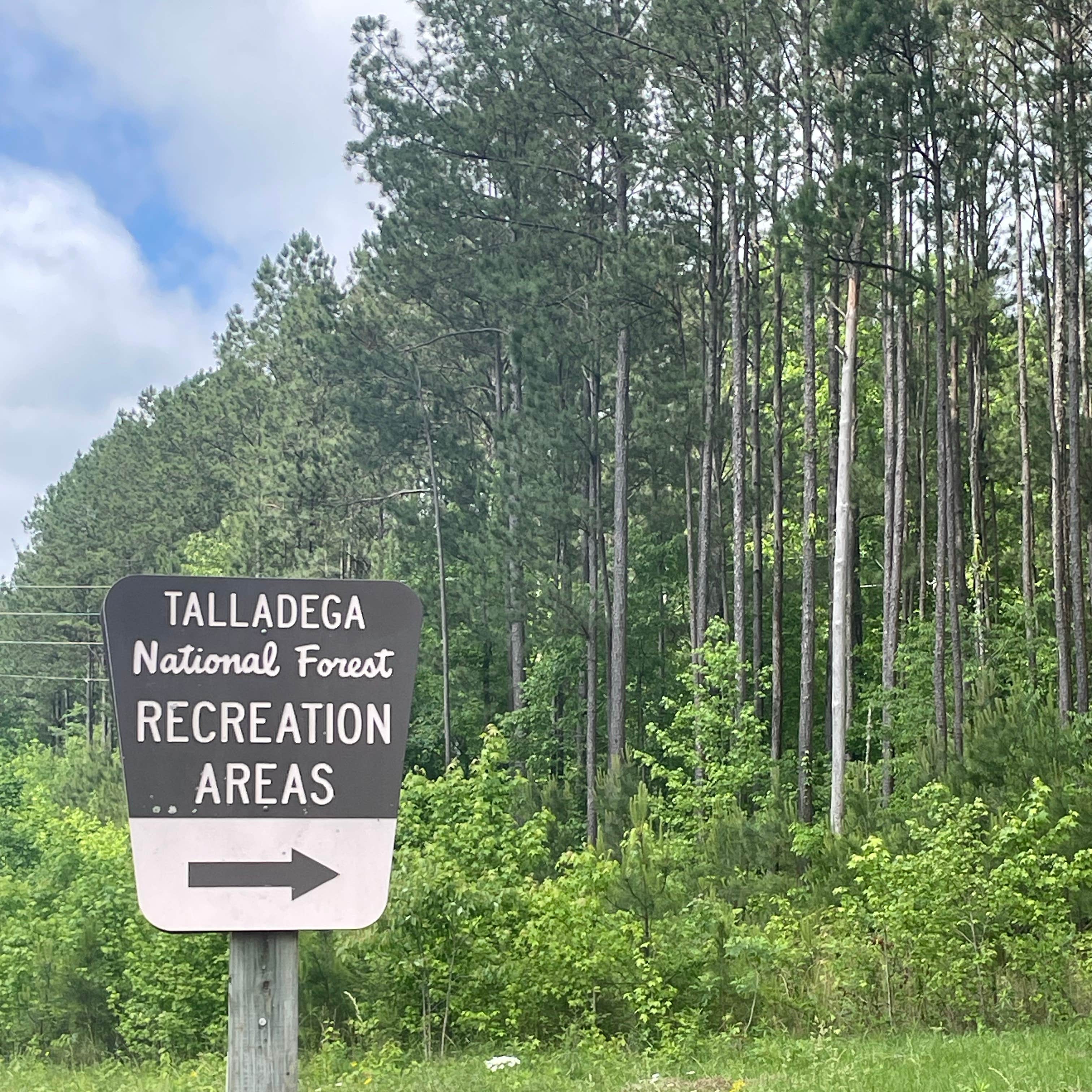 Coleman Lake Rec Area Camping | Fruithurst, AL