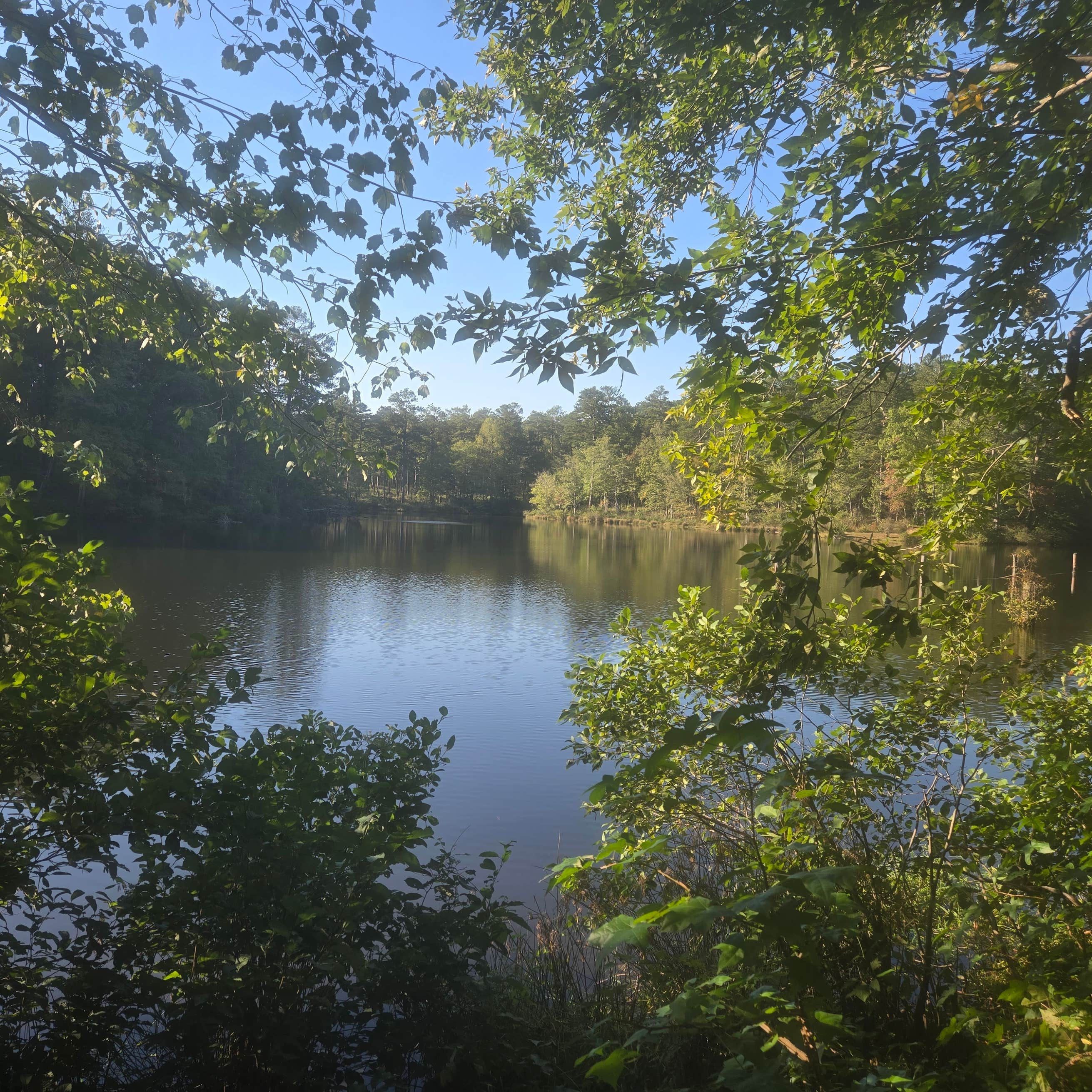 Coleman Lake Rec Area Camping | Fruithurst, Alabama
