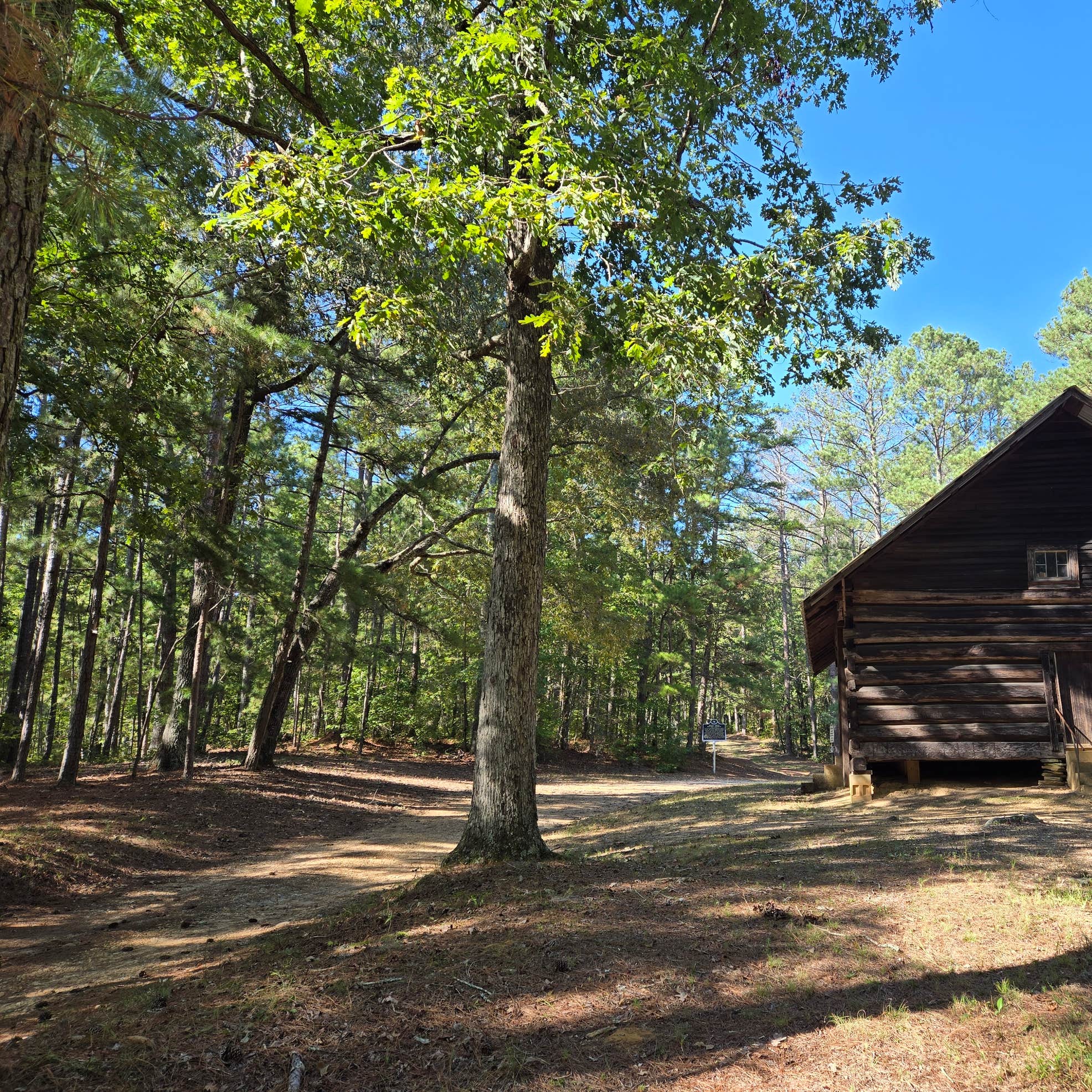 Coleman Lake Rec Area Camping | Fruithurst, Alabama