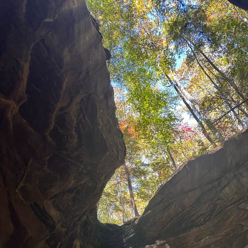 Corinth Recreation Area Camping | Double springs, AL