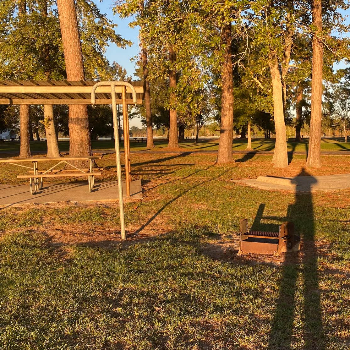 Meaher State Park Campground | Daphne, Alabama