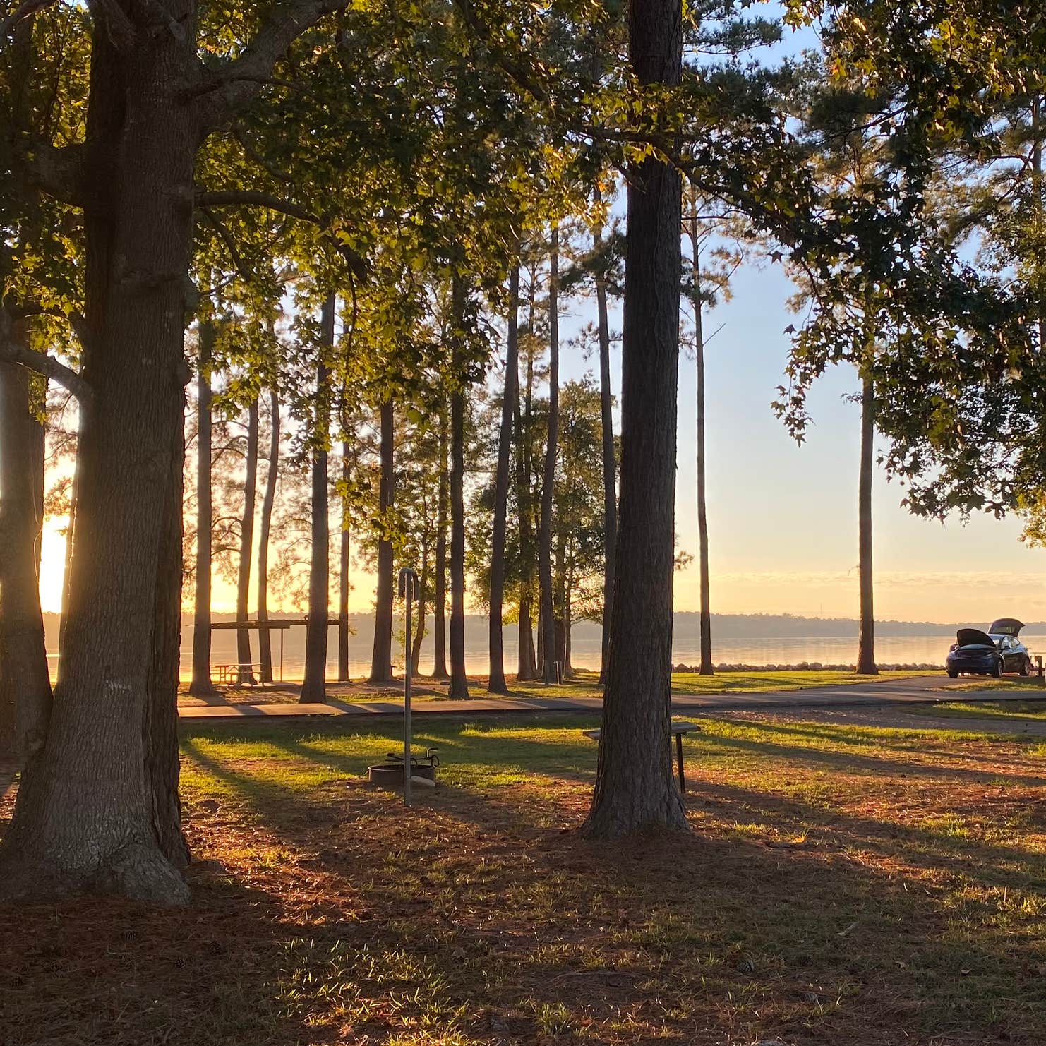 Meaher State Park Campground | Daphne, Alabama