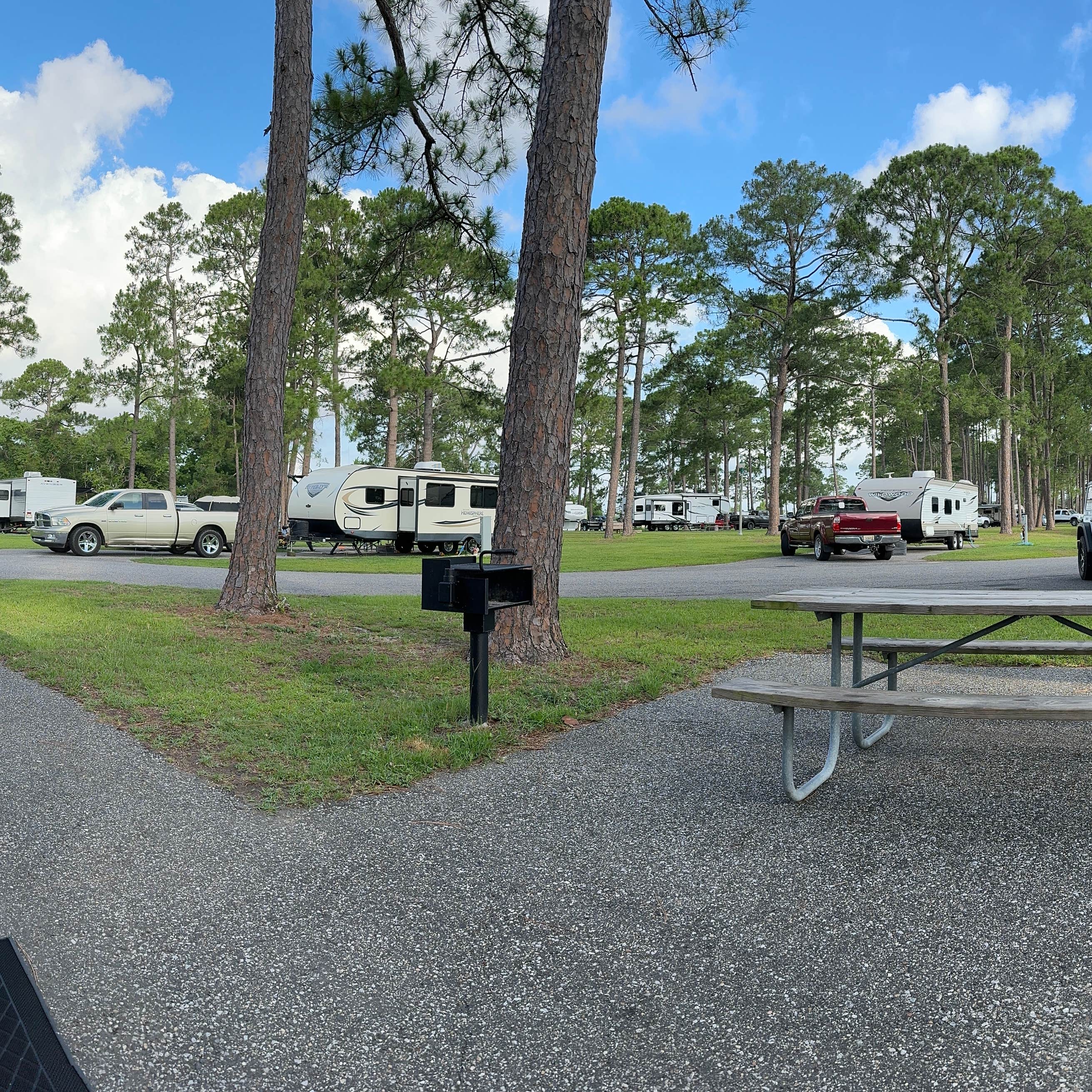 Meaher State Park Campground | Daphne, Alabama