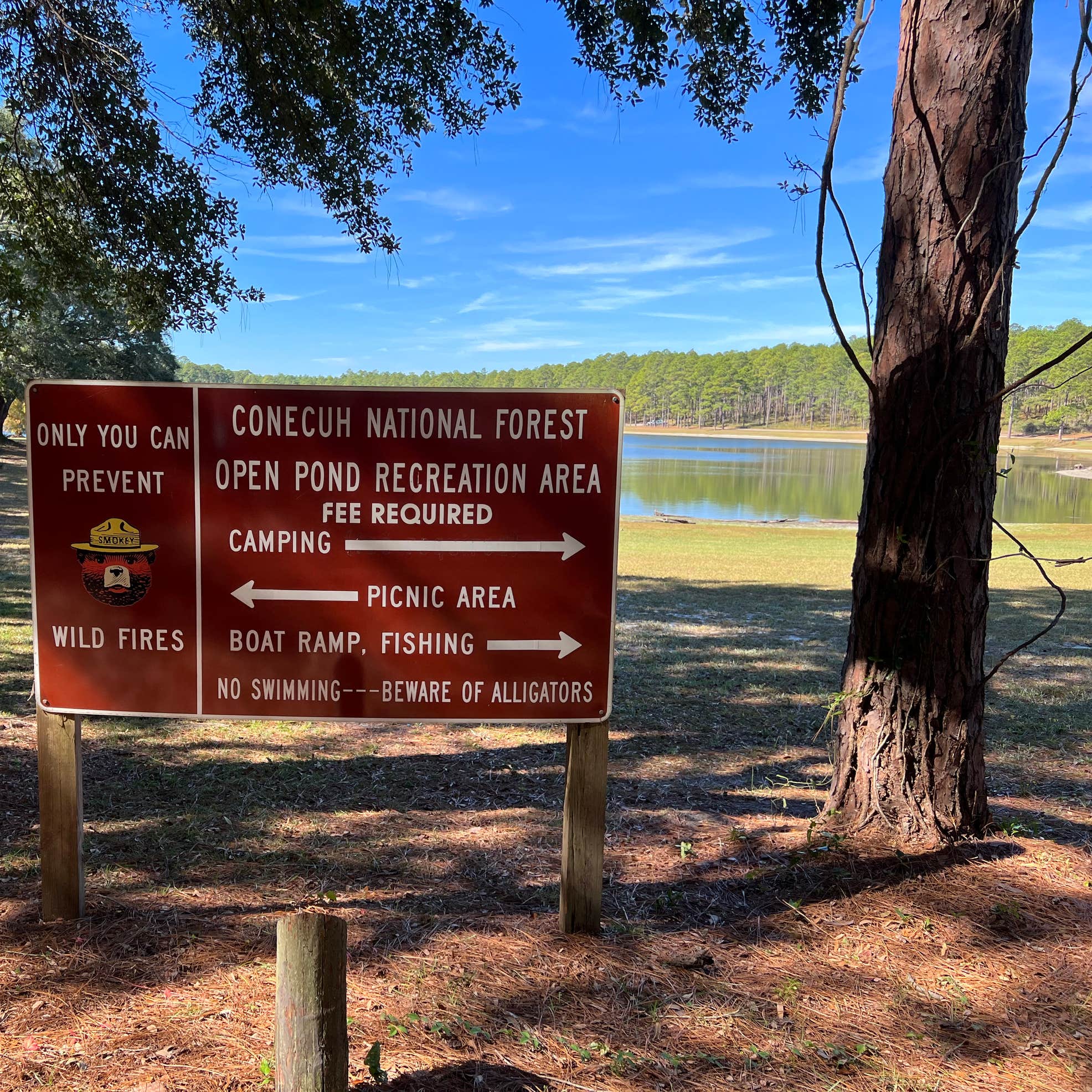 Open Pond Recreation Area Camping | Wing, Alabama