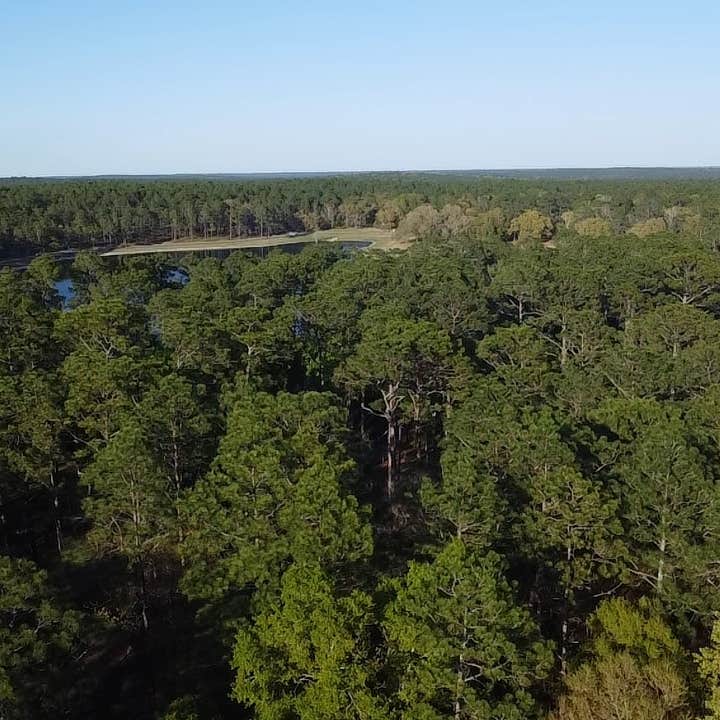 Open Pond Recreation Area Camping | Wing, Alabama