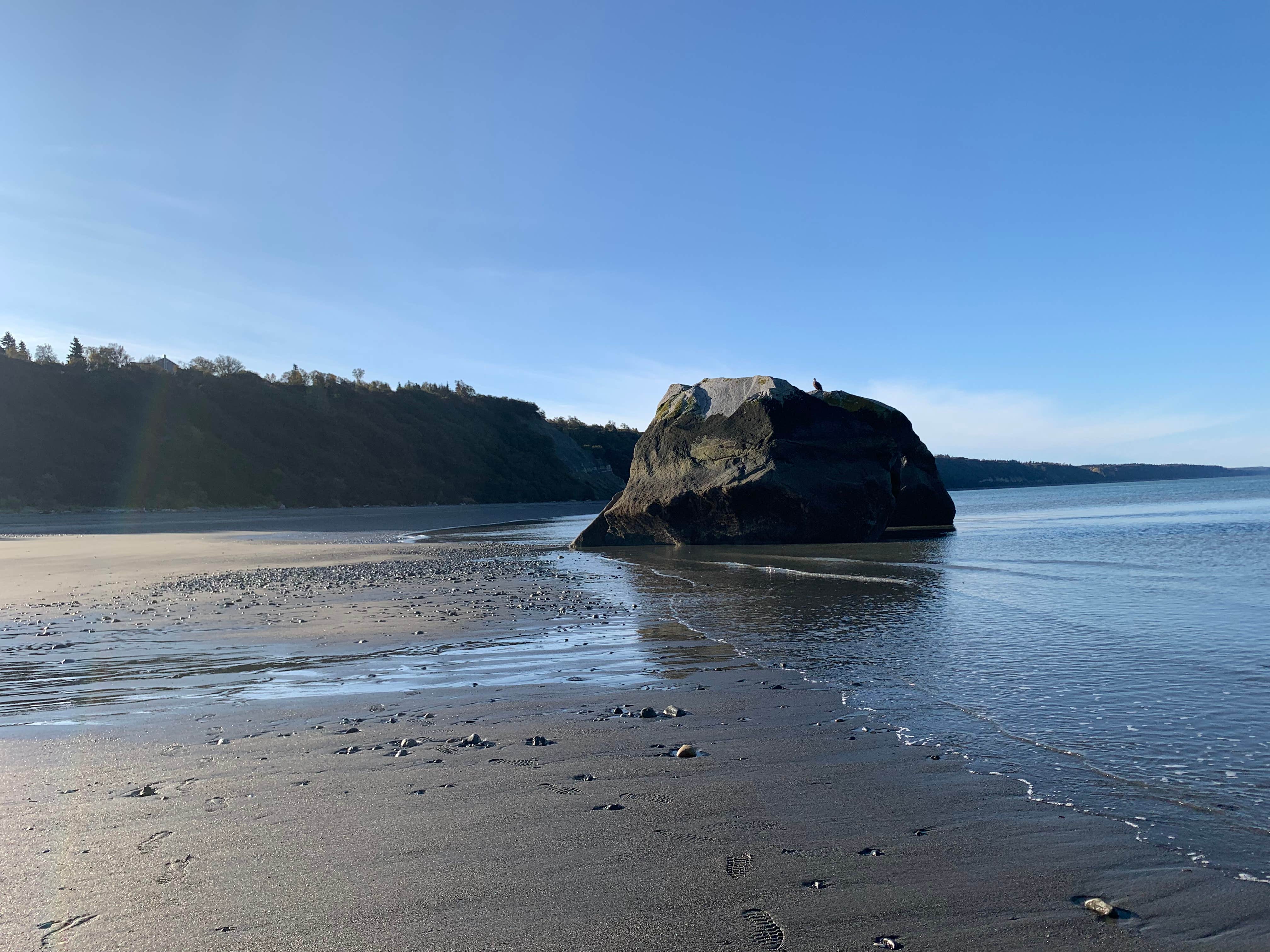 Clam Gulch State Rec Area Camping Kasilof Alaska