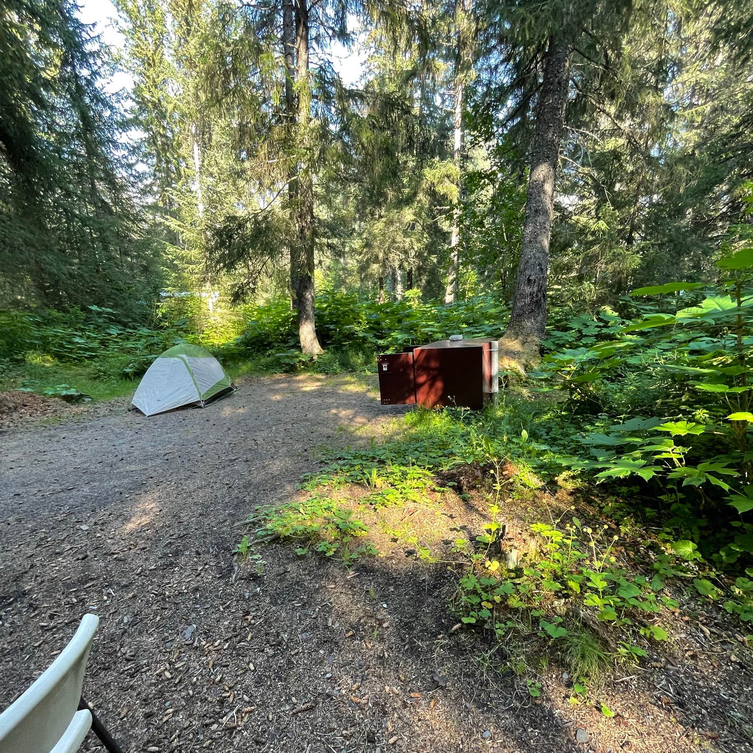 Primrose Trailhead Camping | Moose Pass, Alaska