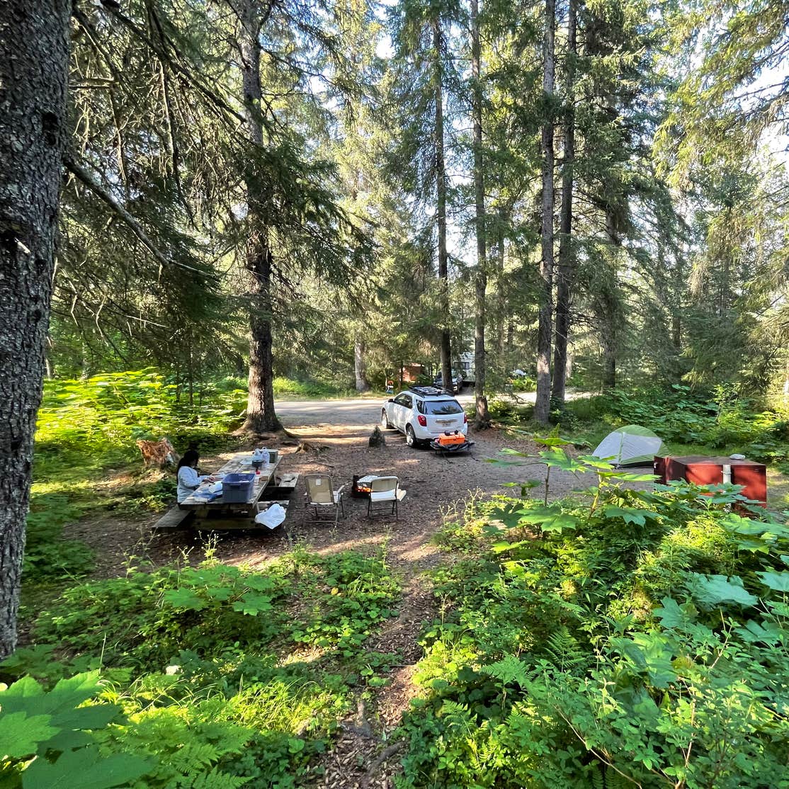 Primrose Trailhead Camping | Moose Pass, Alaska