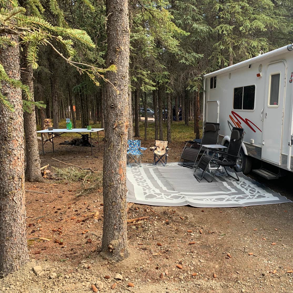 Riley Creek Campground — Denali National Park | Healy, AK