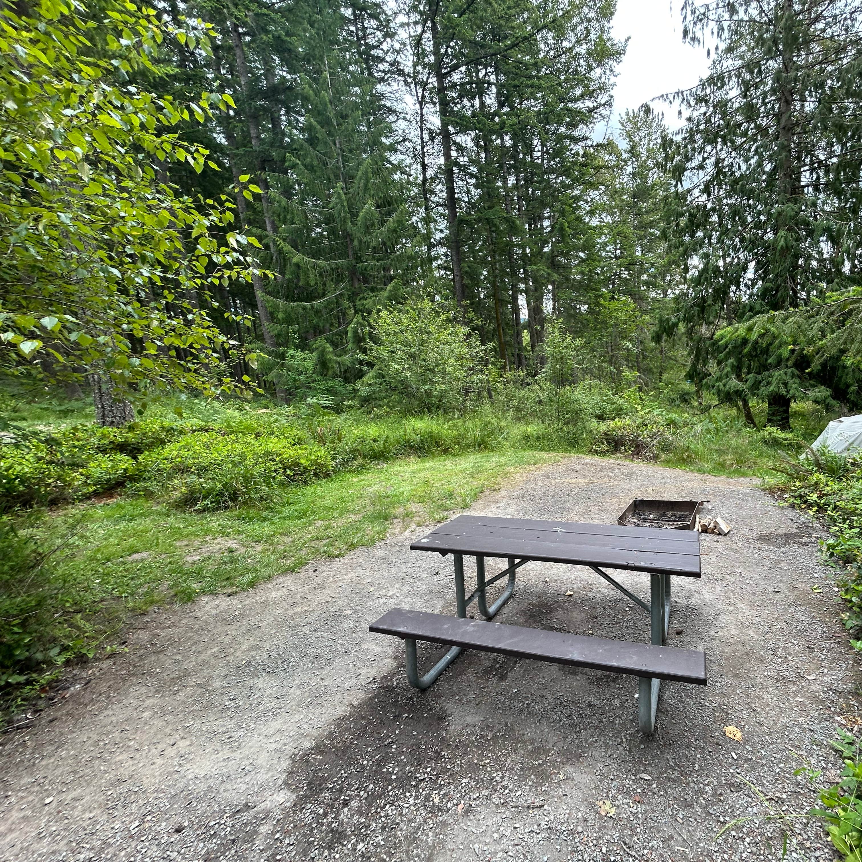 Alder Lake Campground | La Grande, Washington