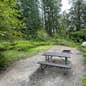 Alder Lake Campground | La Grande, Washington