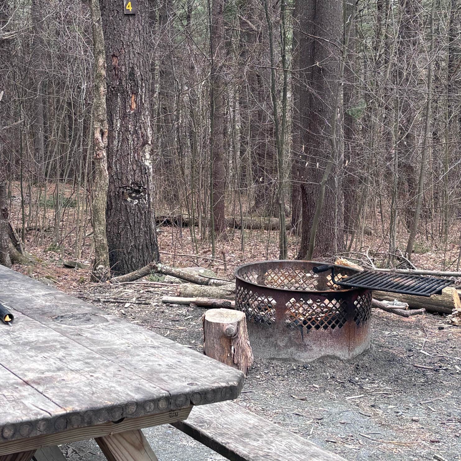 Allaben Primitive Campsites | Shandaken, New York