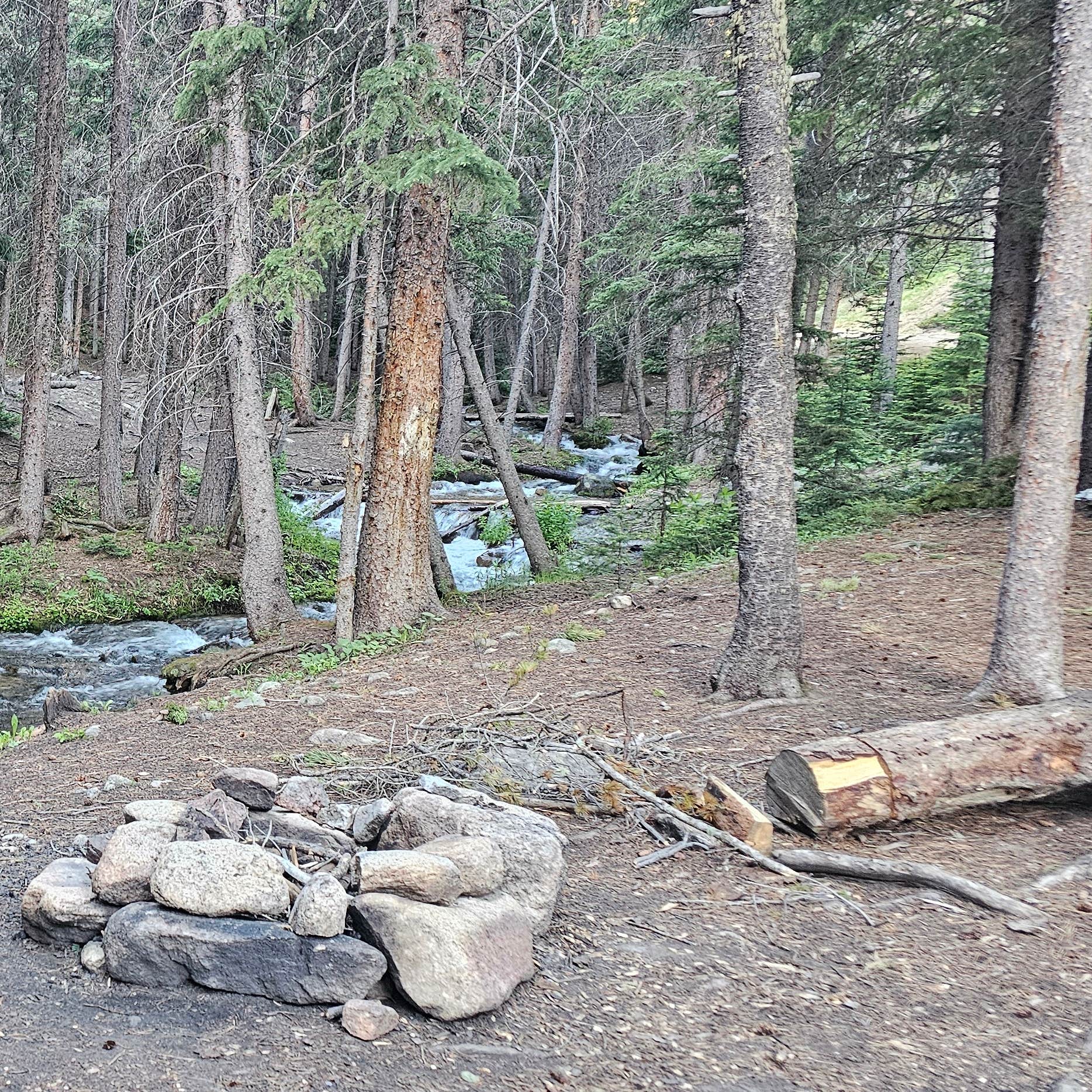Allenspark Dispersed Camping | Allenspark, Colorado