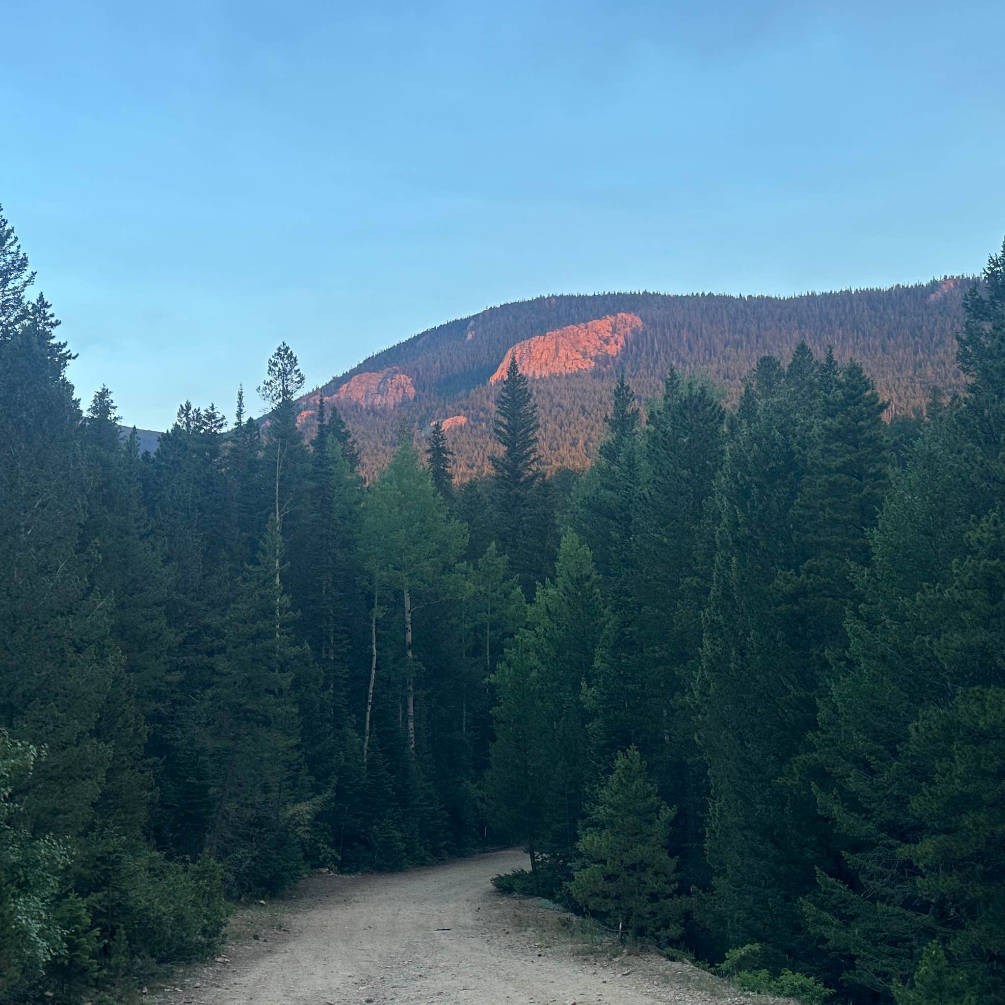 Allenspark Dispersed Camping | Allenspark, Colorado