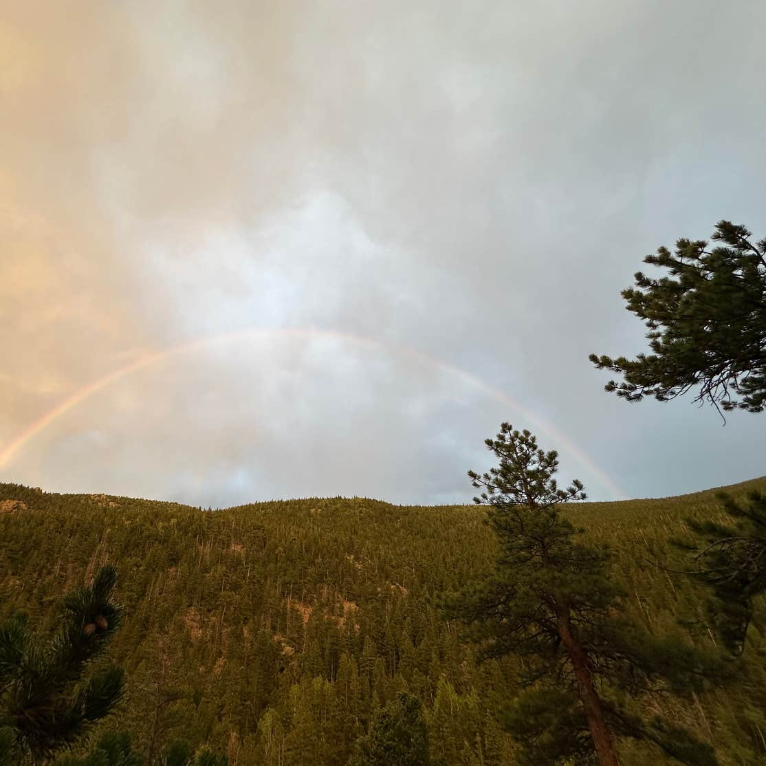 Allenspark Dispersed Camping | Allenspark, Colorado