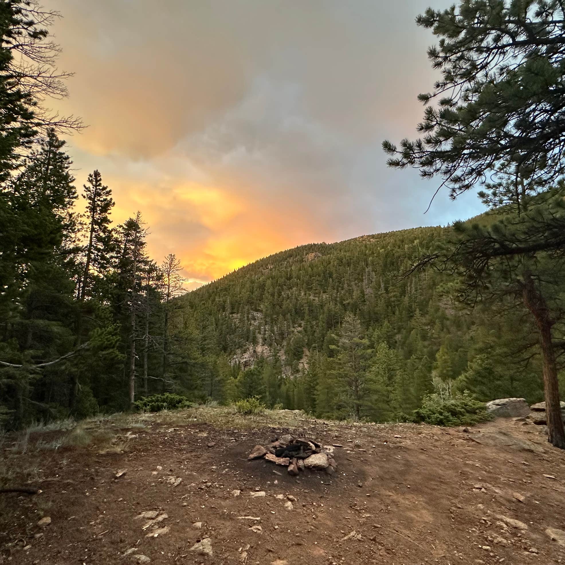 Allenspark Dispersed Camping | Allenspark, Colorado