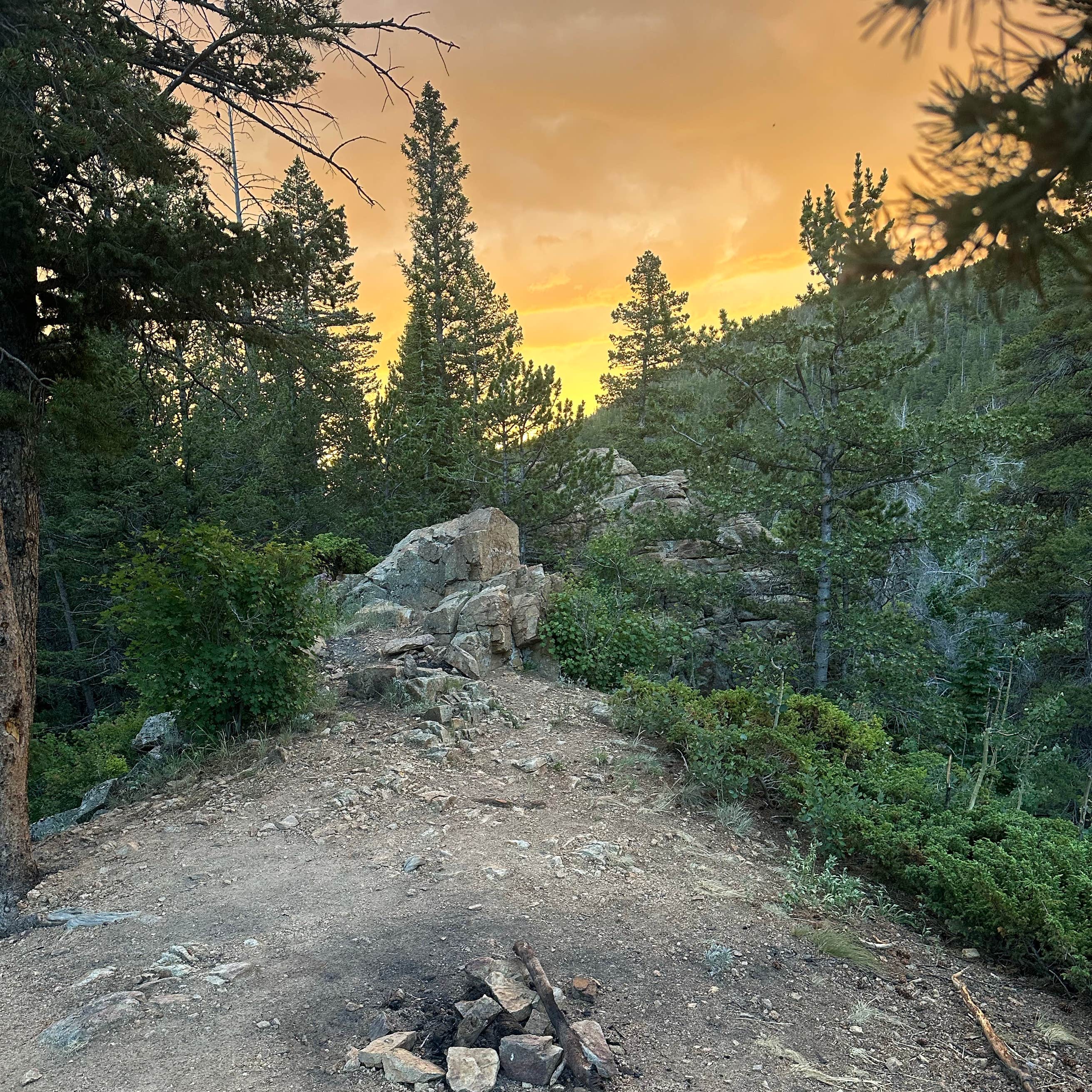 Allenspark Dispersed Camping | Allenspark, Colorado
