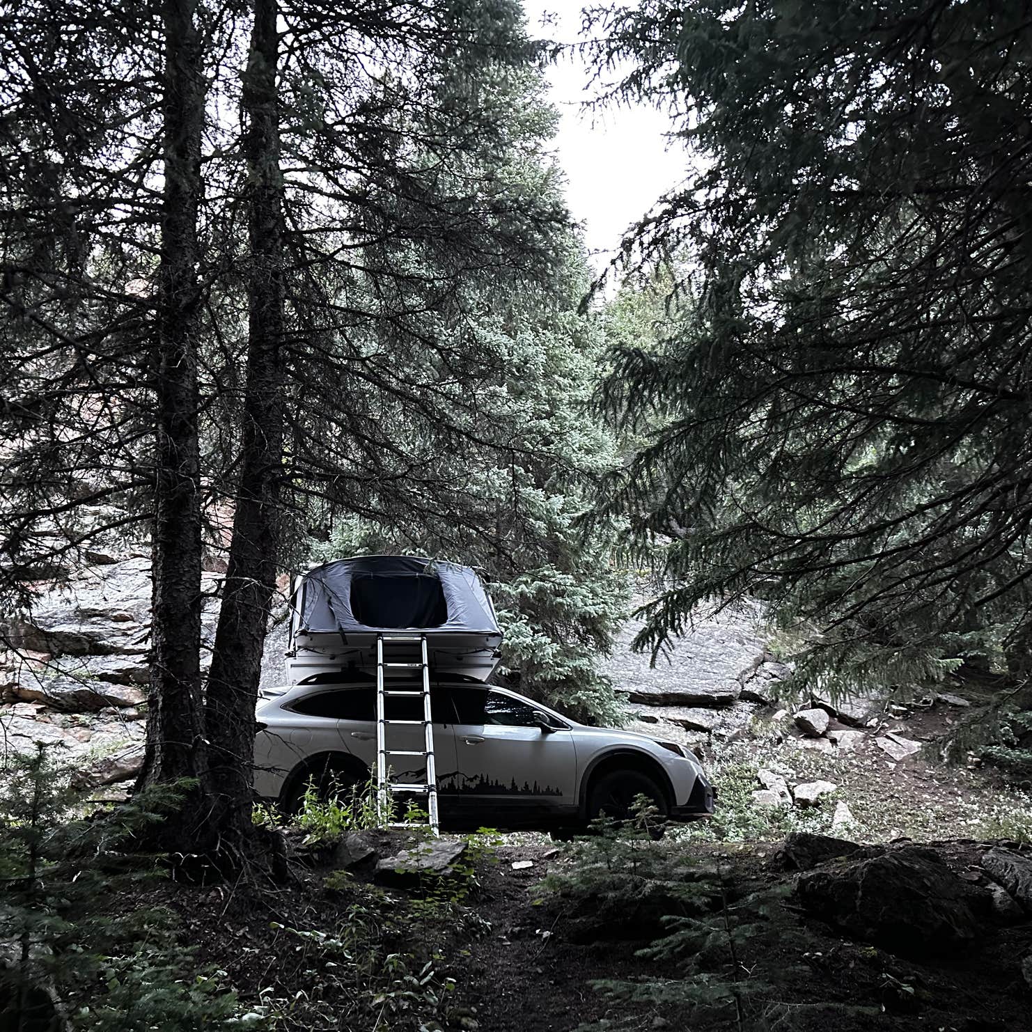 Allenspark Dispersed Camping | Allenspark, CO