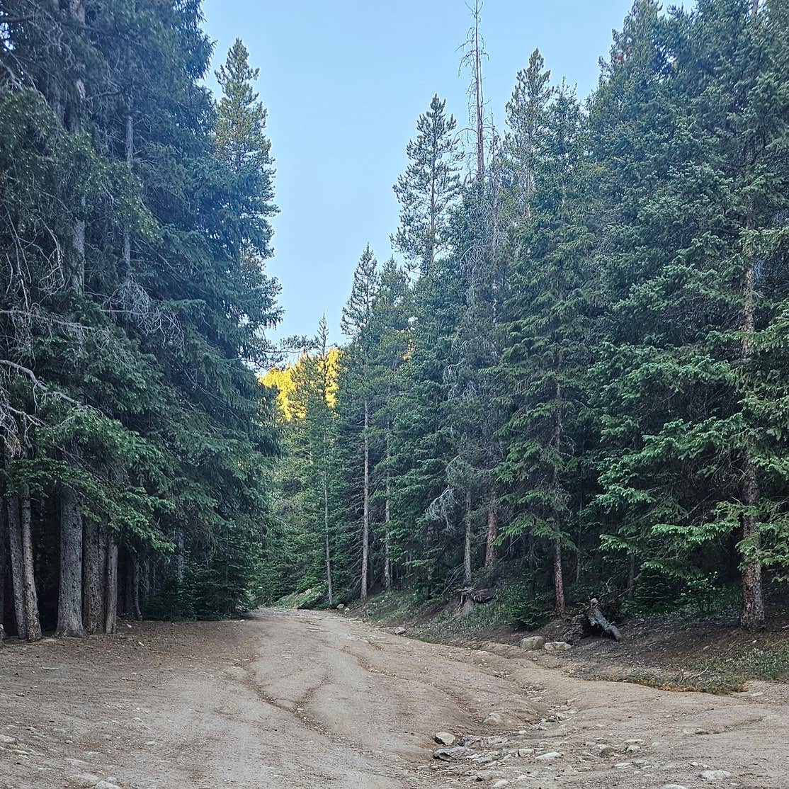 Allenspark Dispersed Camping | Allenspark, Colorado