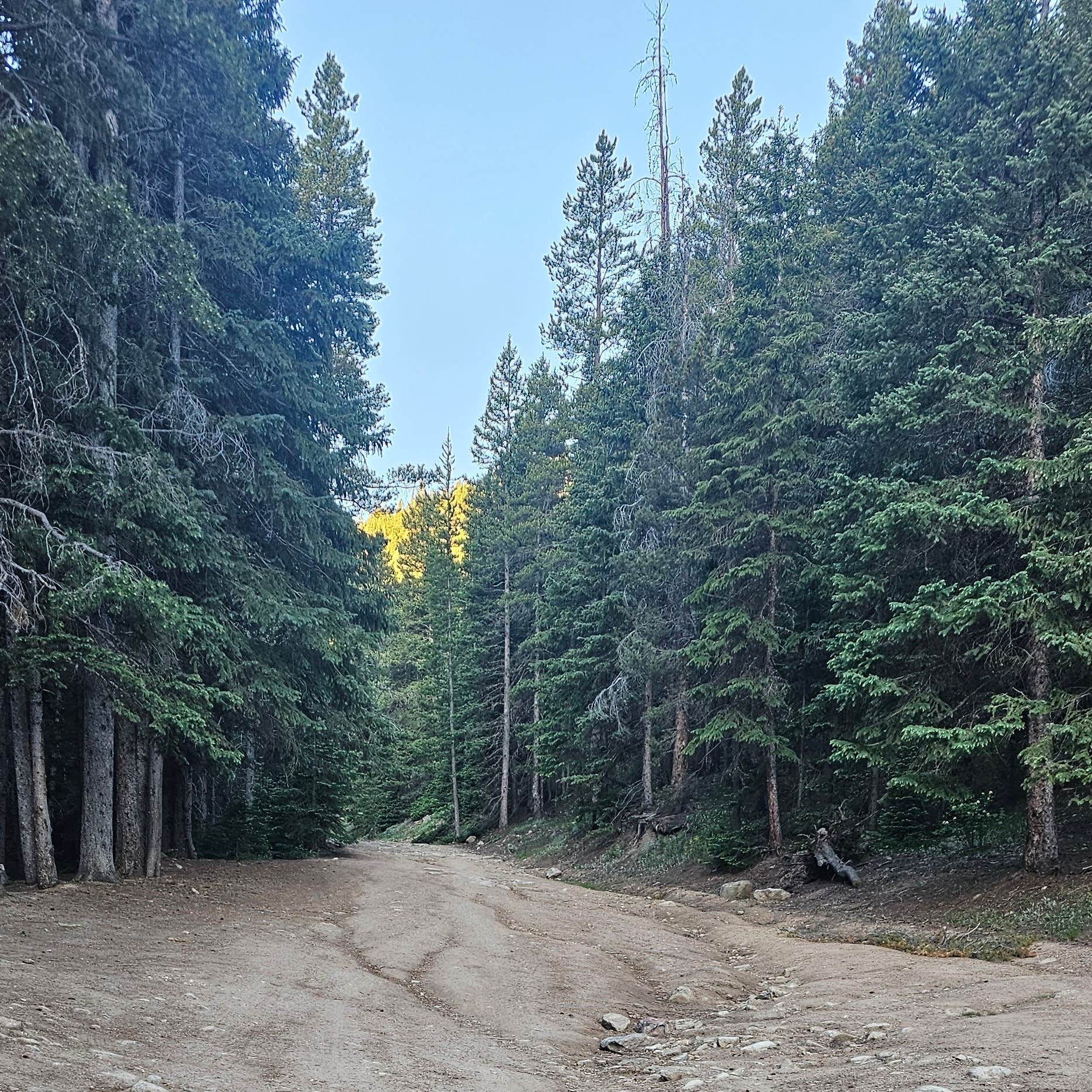 Allenspark Dispersed Camping | Allenspark, Colorado