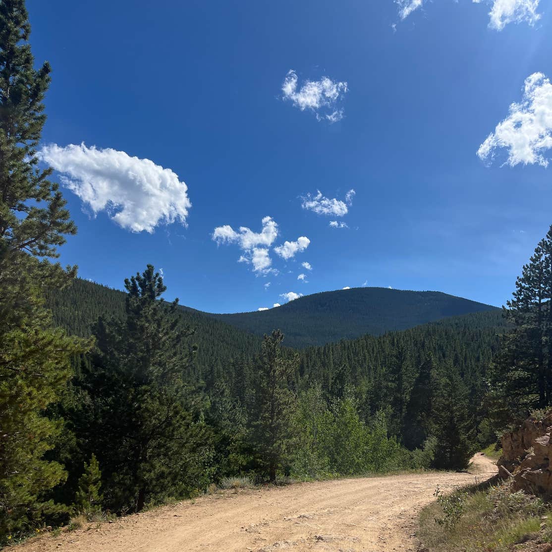 Allenspark Dispersed Camping | Allenspark, Colorado