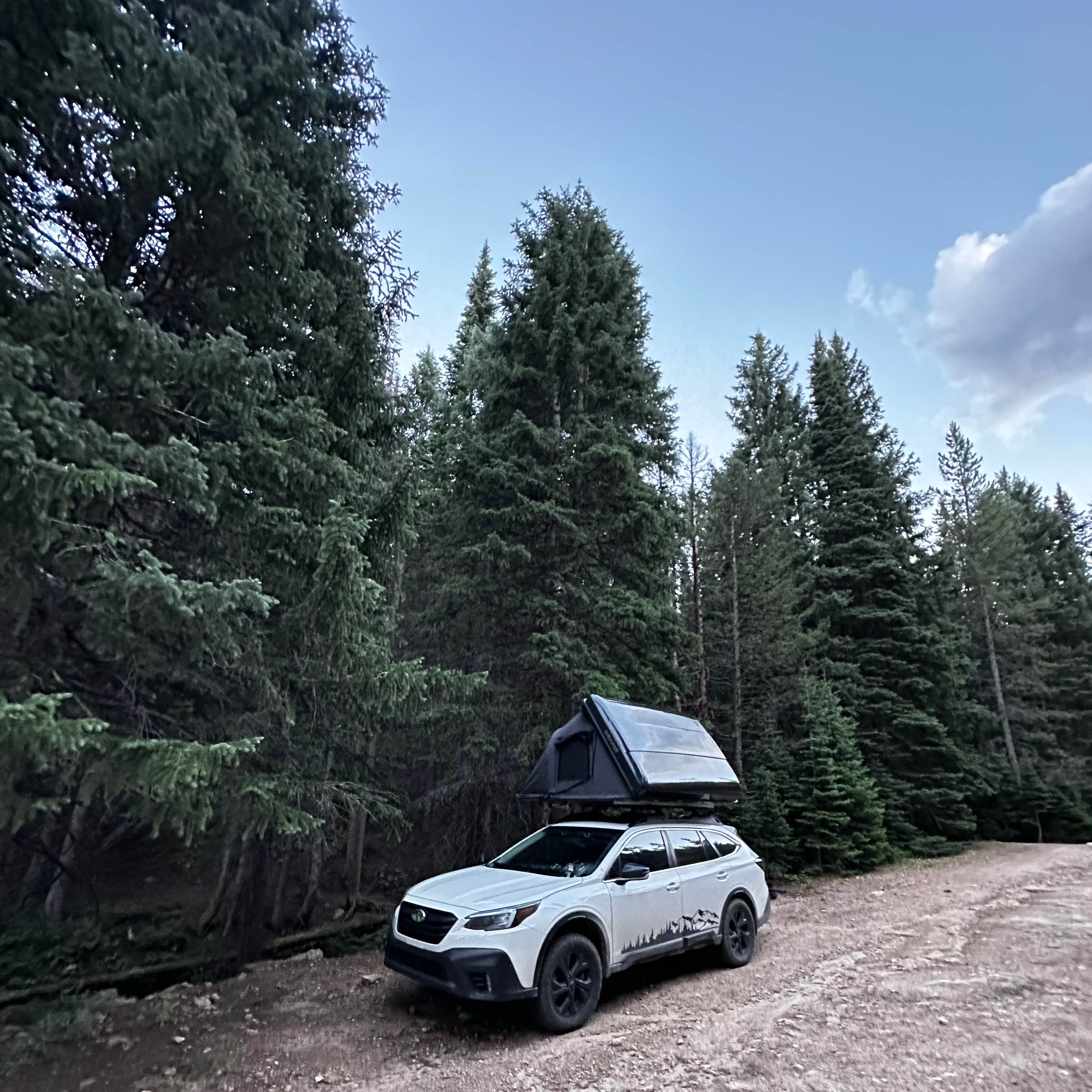 Allenspark Dispersed Camping | Allenspark, CO