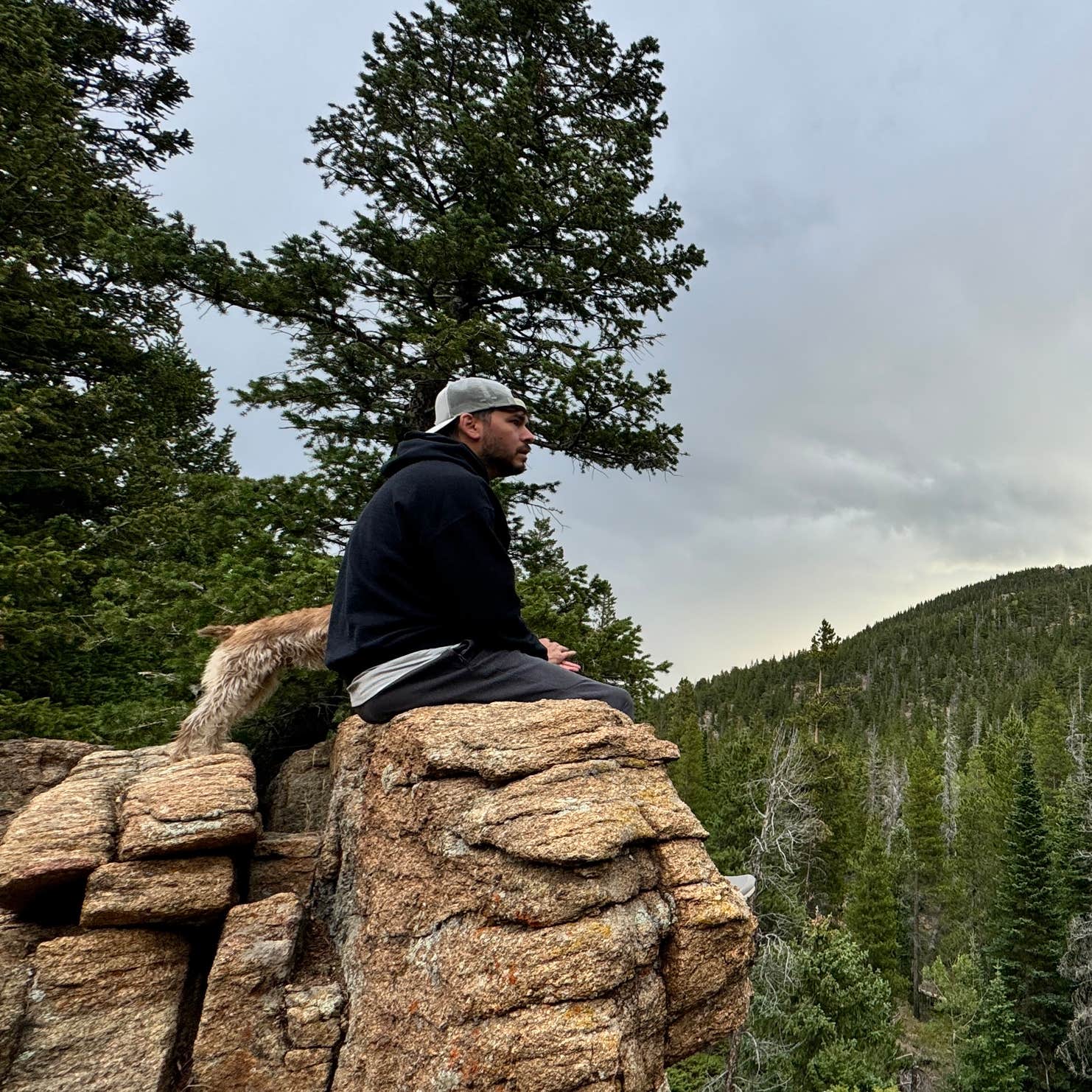 Allenspark Dispersed Camp Spot | Pinewood Springs, Colorado
