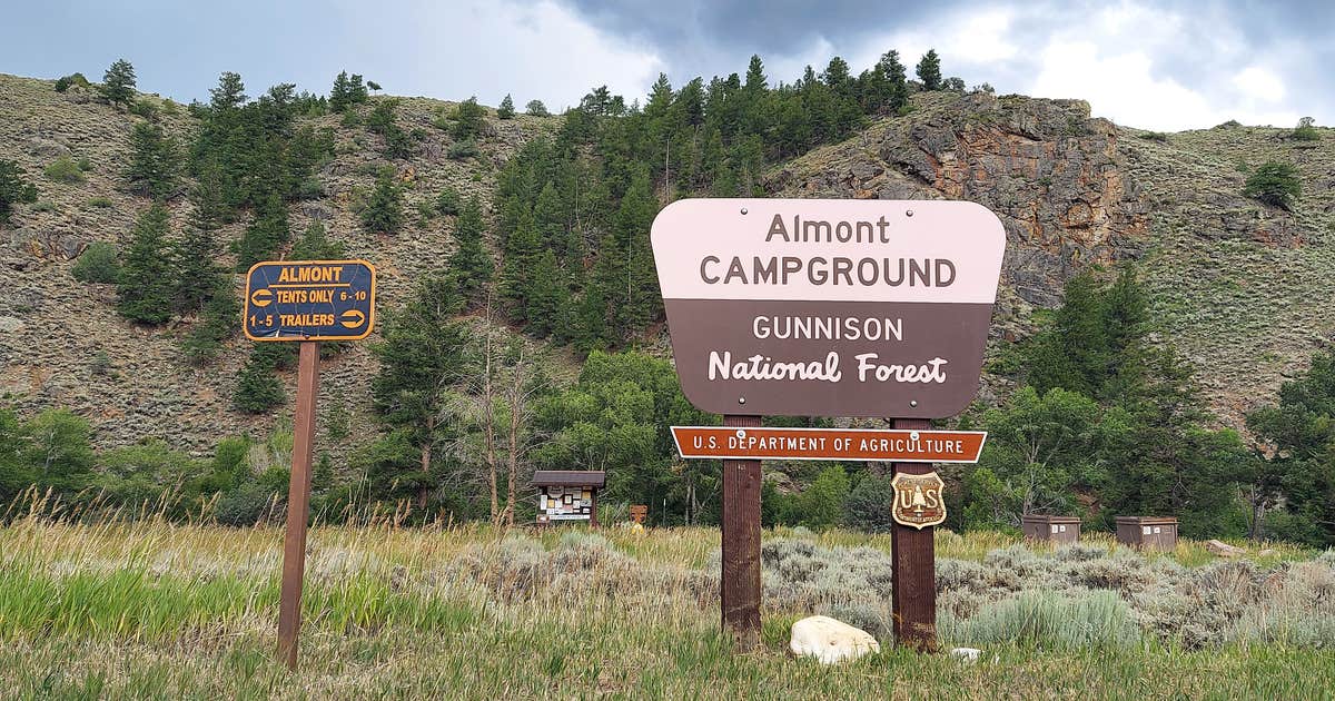 Almont Campground | Almont, Colorado