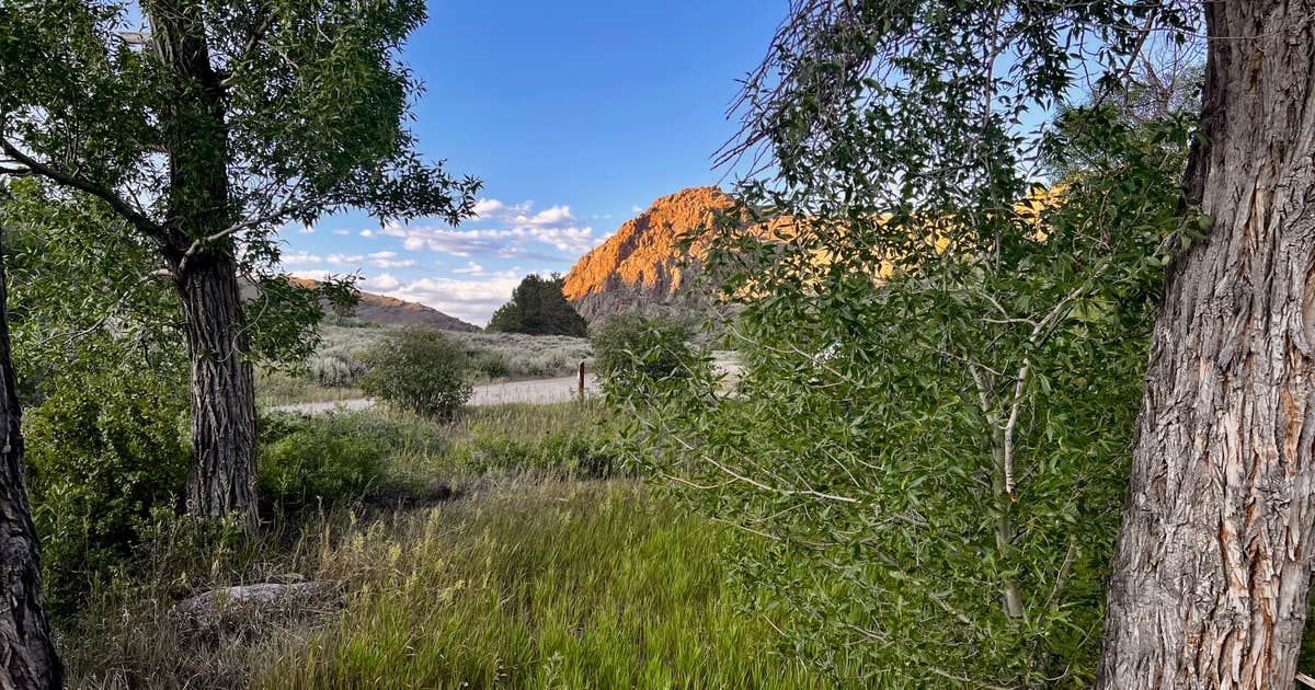 Almont Campground | Almont, Colorado