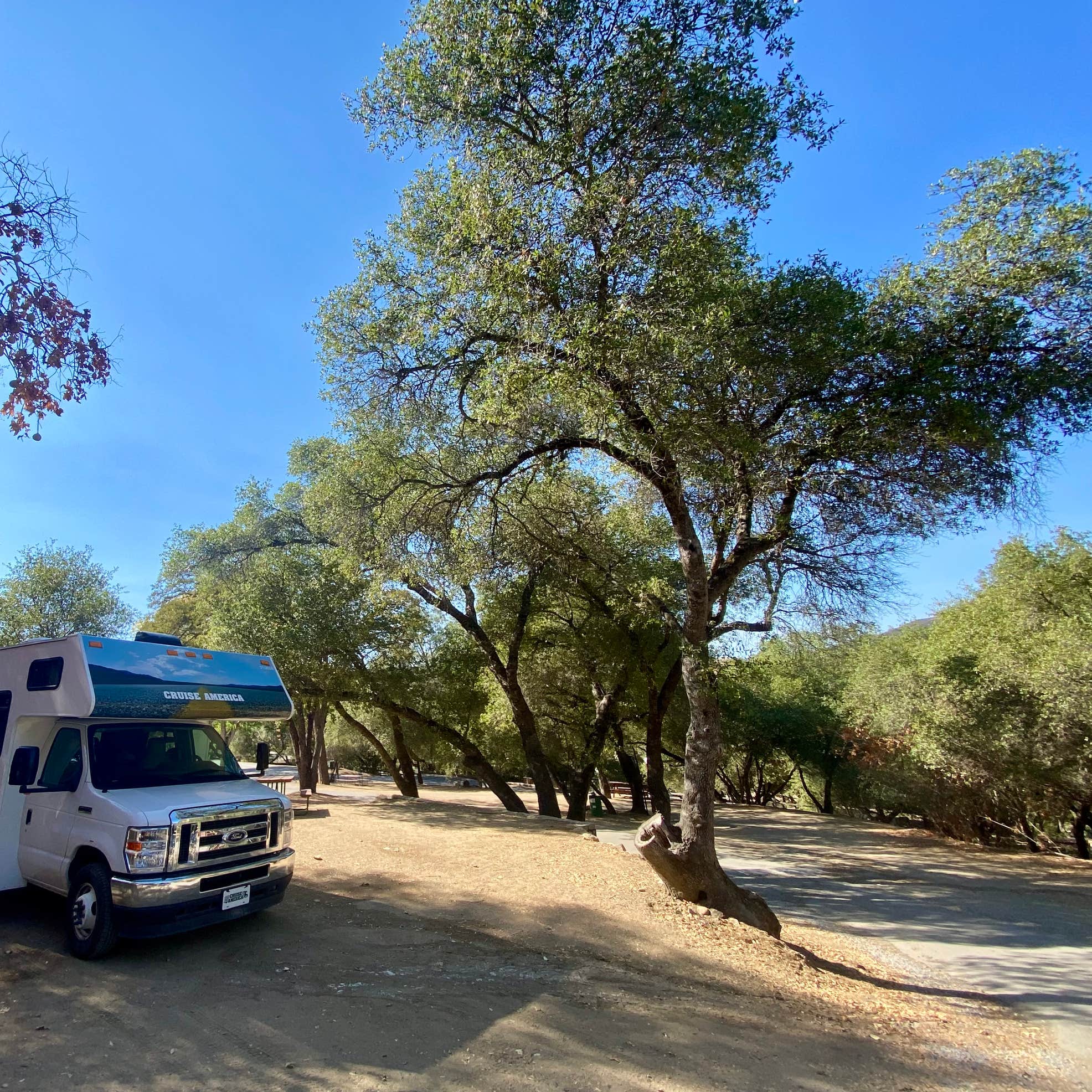 American River Resort Camping | Coloma, California