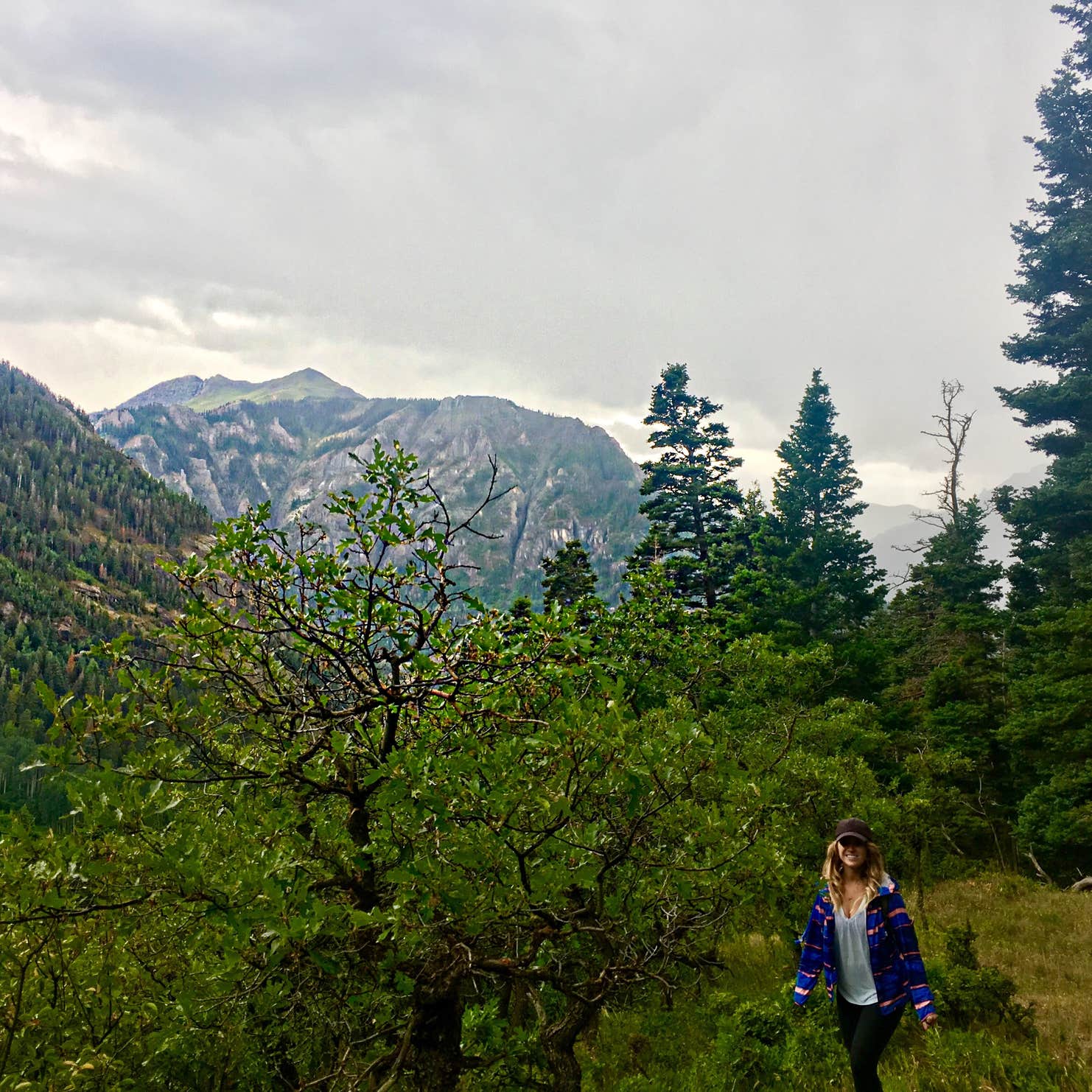 Amphitheater Campground | Ouray, Colorado