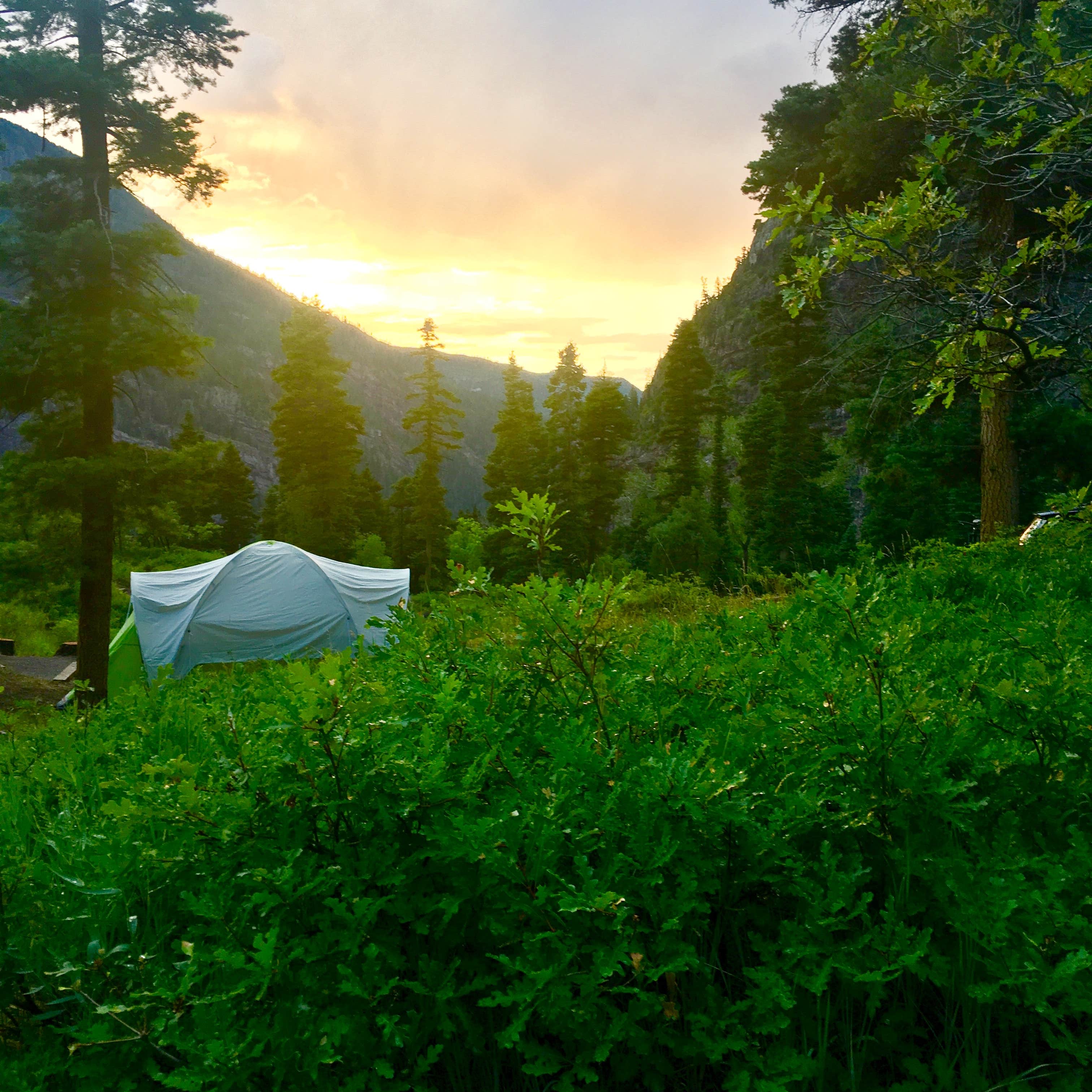 Amphitheater Campground | Ouray, Colorado