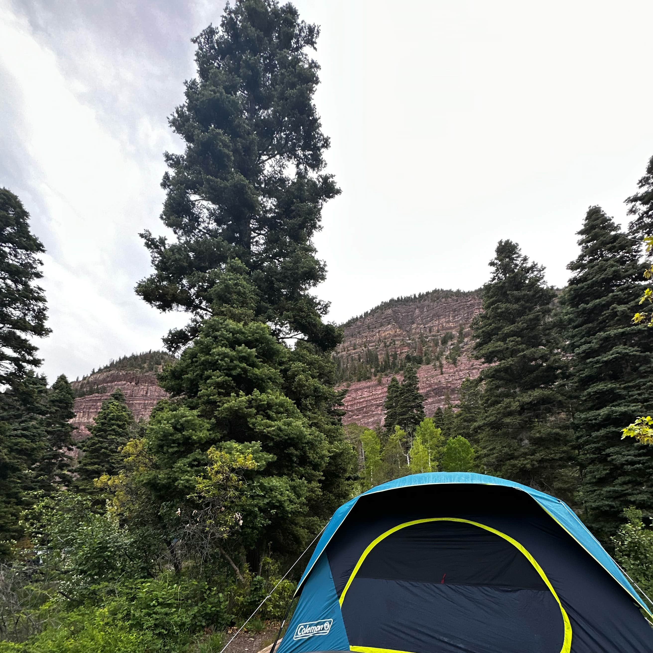 Amphitheater Campground | Ouray, Colorado