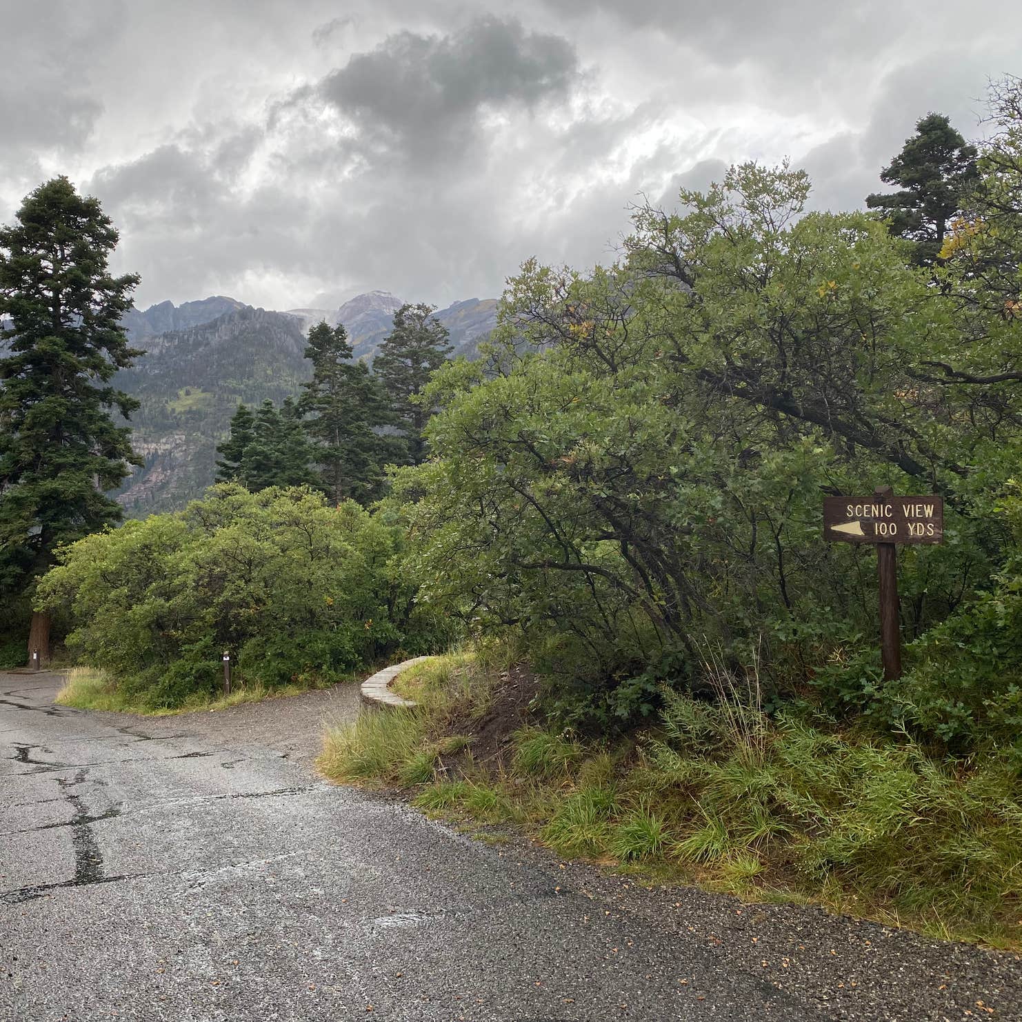 Amphitheater Campground | Ouray, Colorado