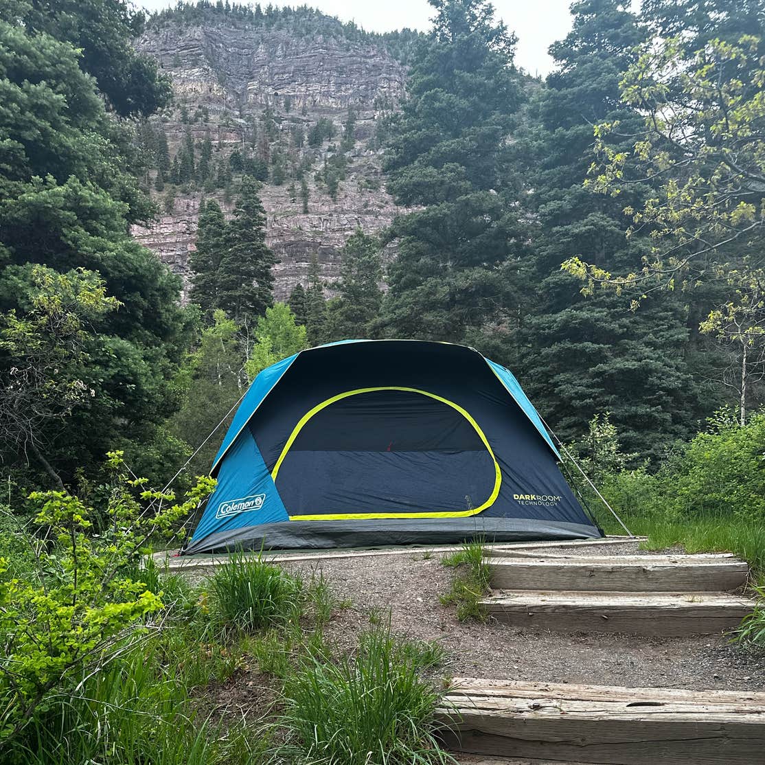 Amphitheater Campground | Ouray, Colorado