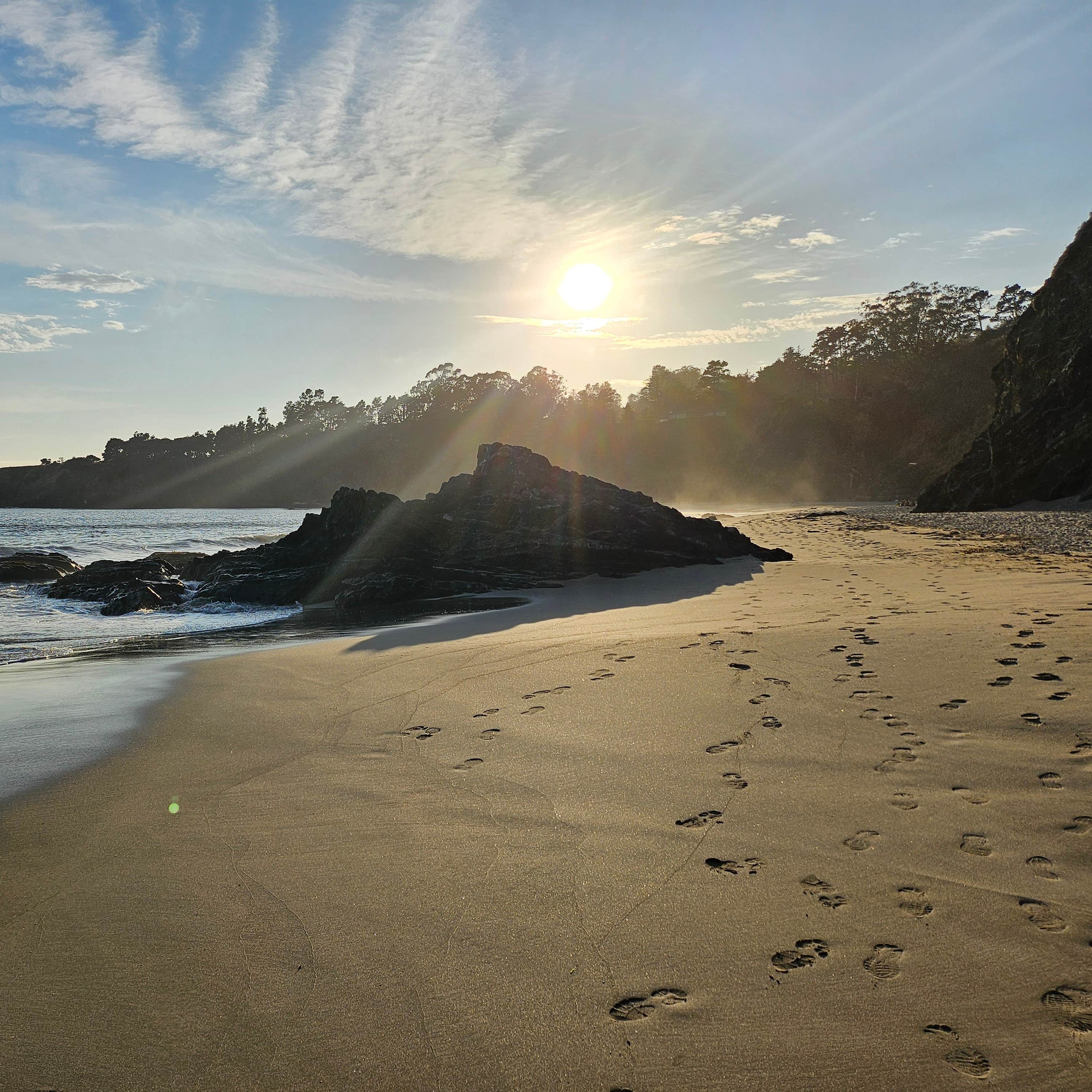 Anchor Bay Campground | Gualala, California
