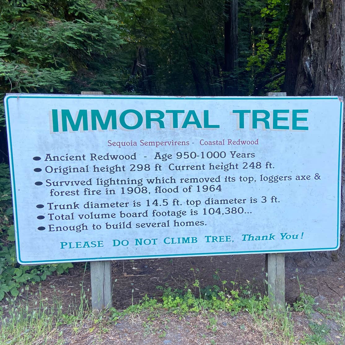 Ancient Redwoods RV Park | Redcrest, California