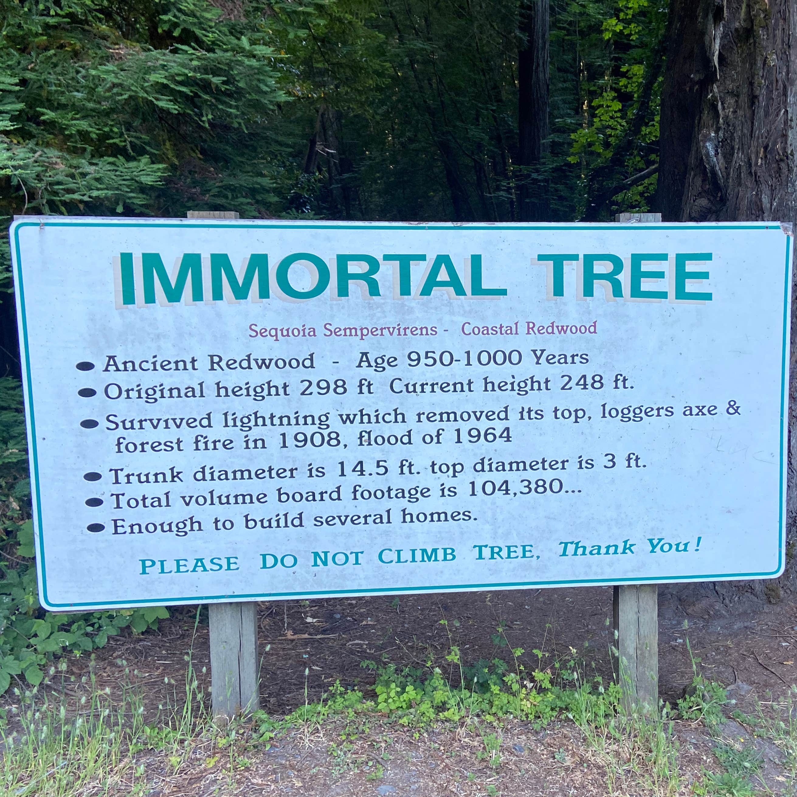 Ancient Redwoods RV Park | Redcrest, California