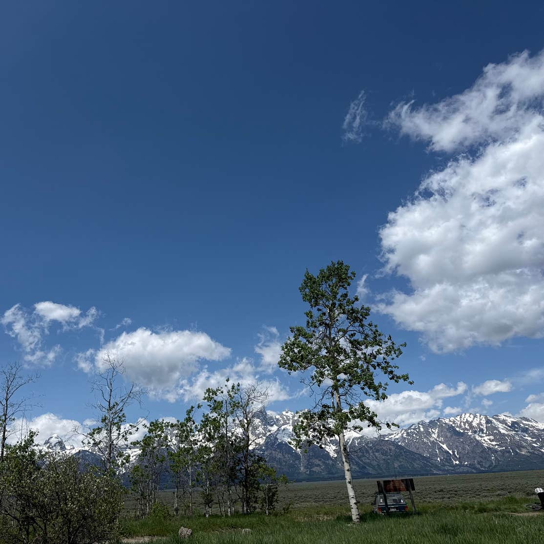 Antelope Springs Designated Dispersed Camping Sites 1-8 | Kelly, Wyoming