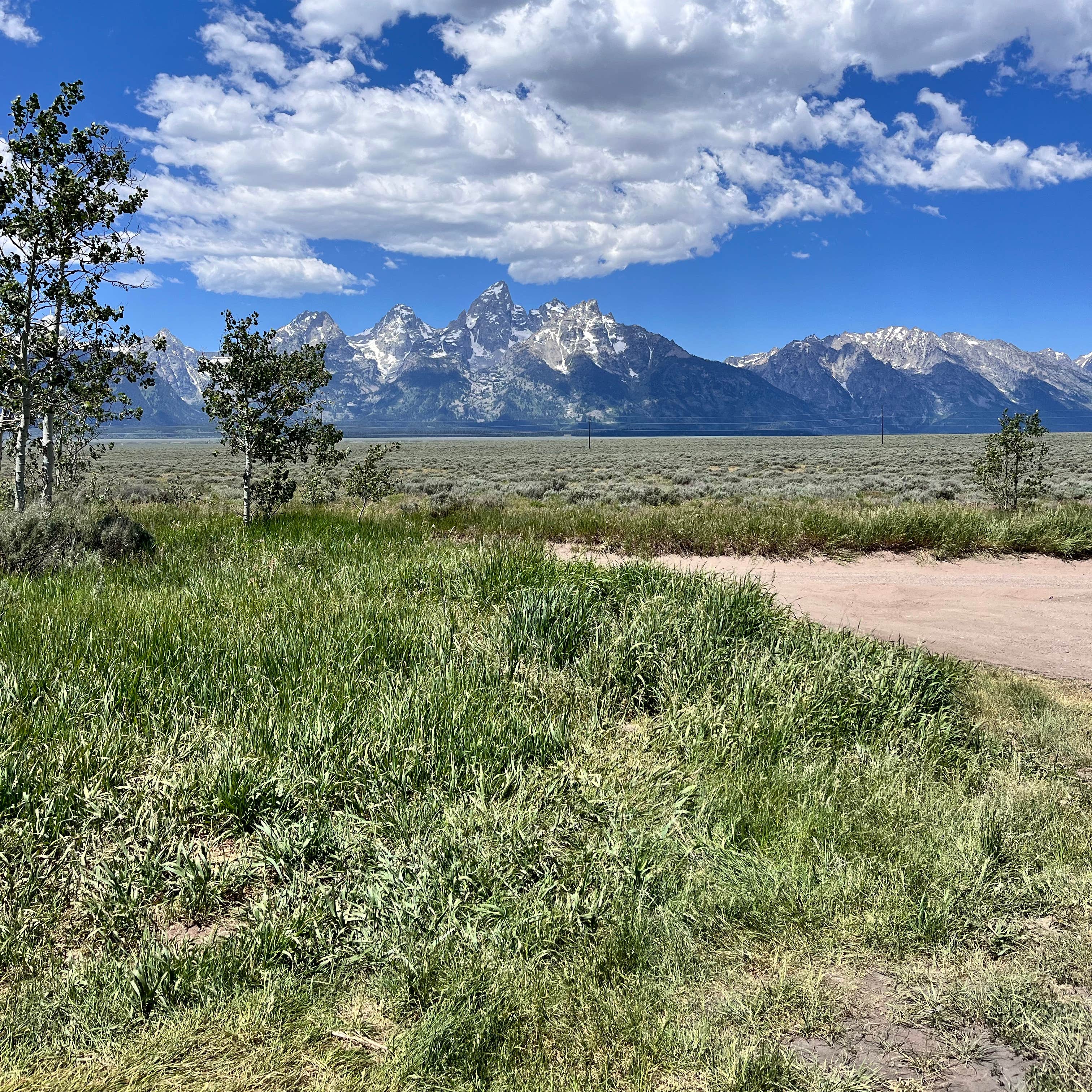 Antelope Springs Designated Dispersed Camping Sites 1-8 | Kelly, WY