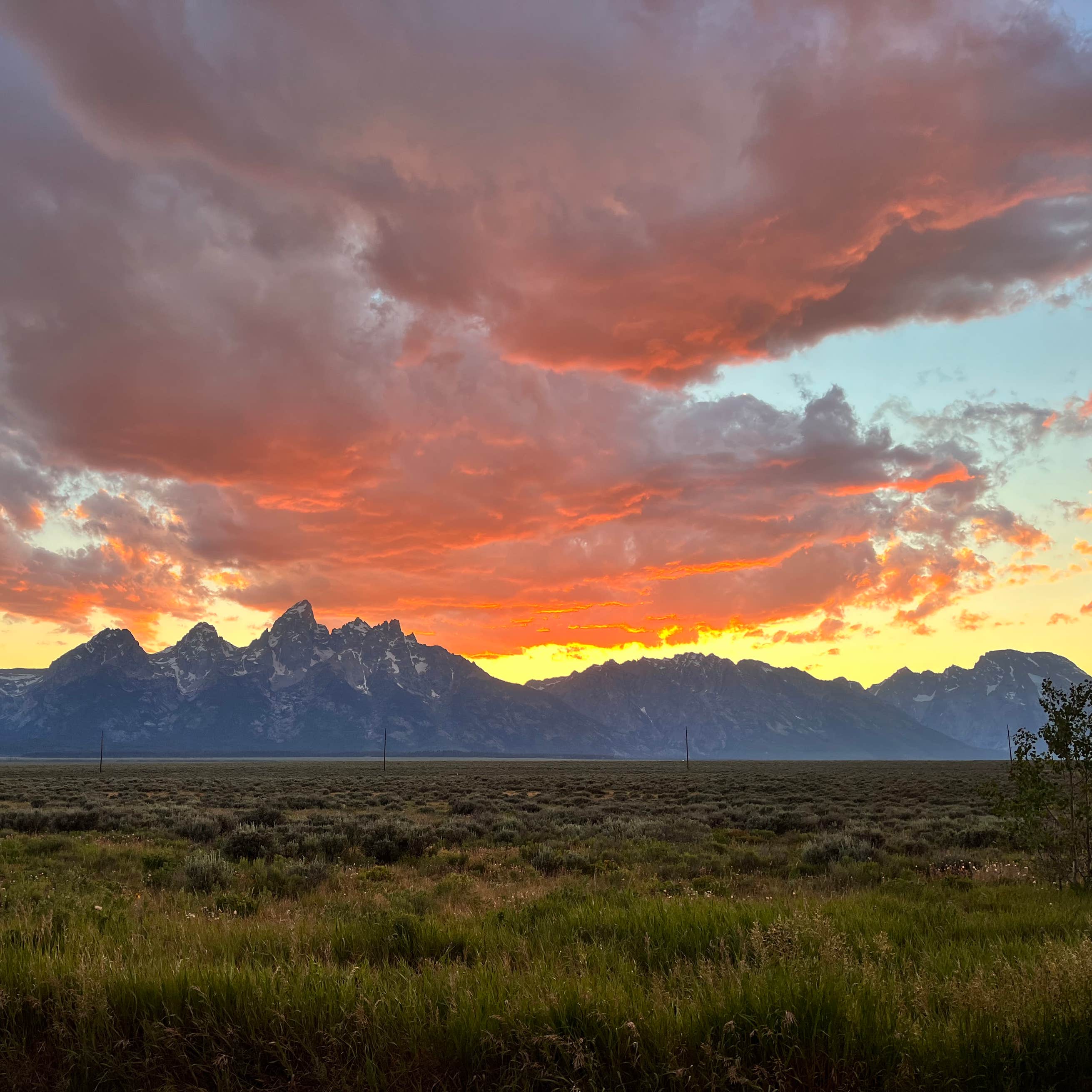 Antelope Springs Designated Dispersed Camping Sites 1-8 | Kelly, WY