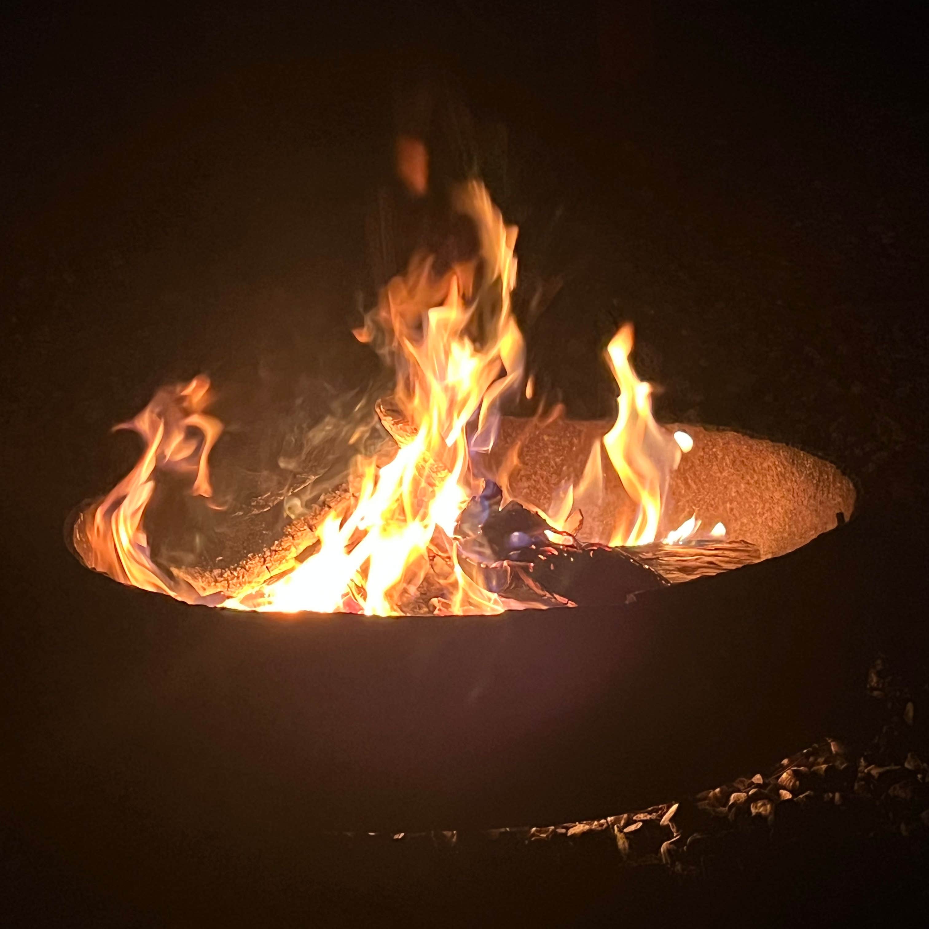 Anvil Campground | Williamsburg, Virginia